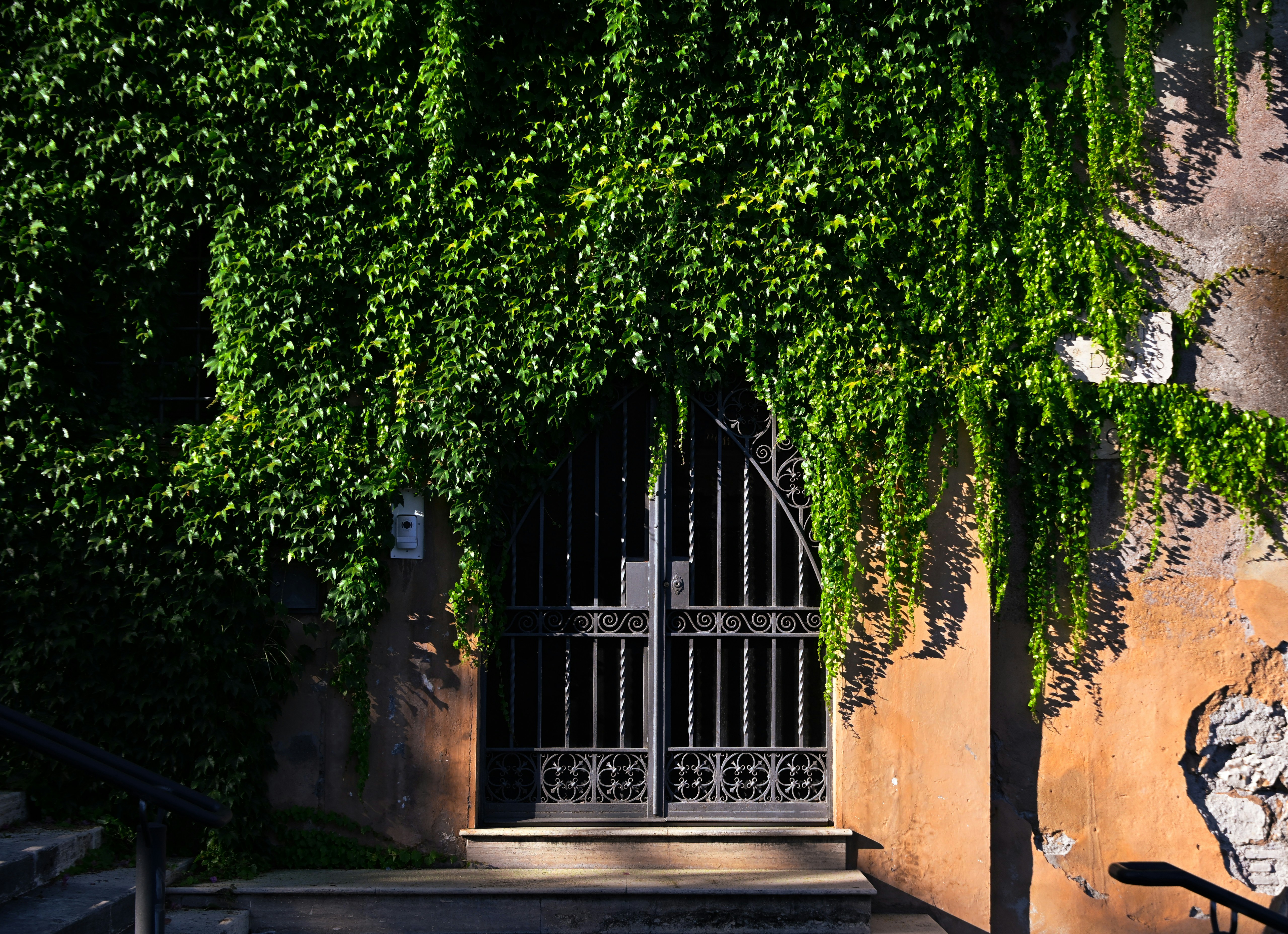 Overgrown Gate to Quiet Stairway