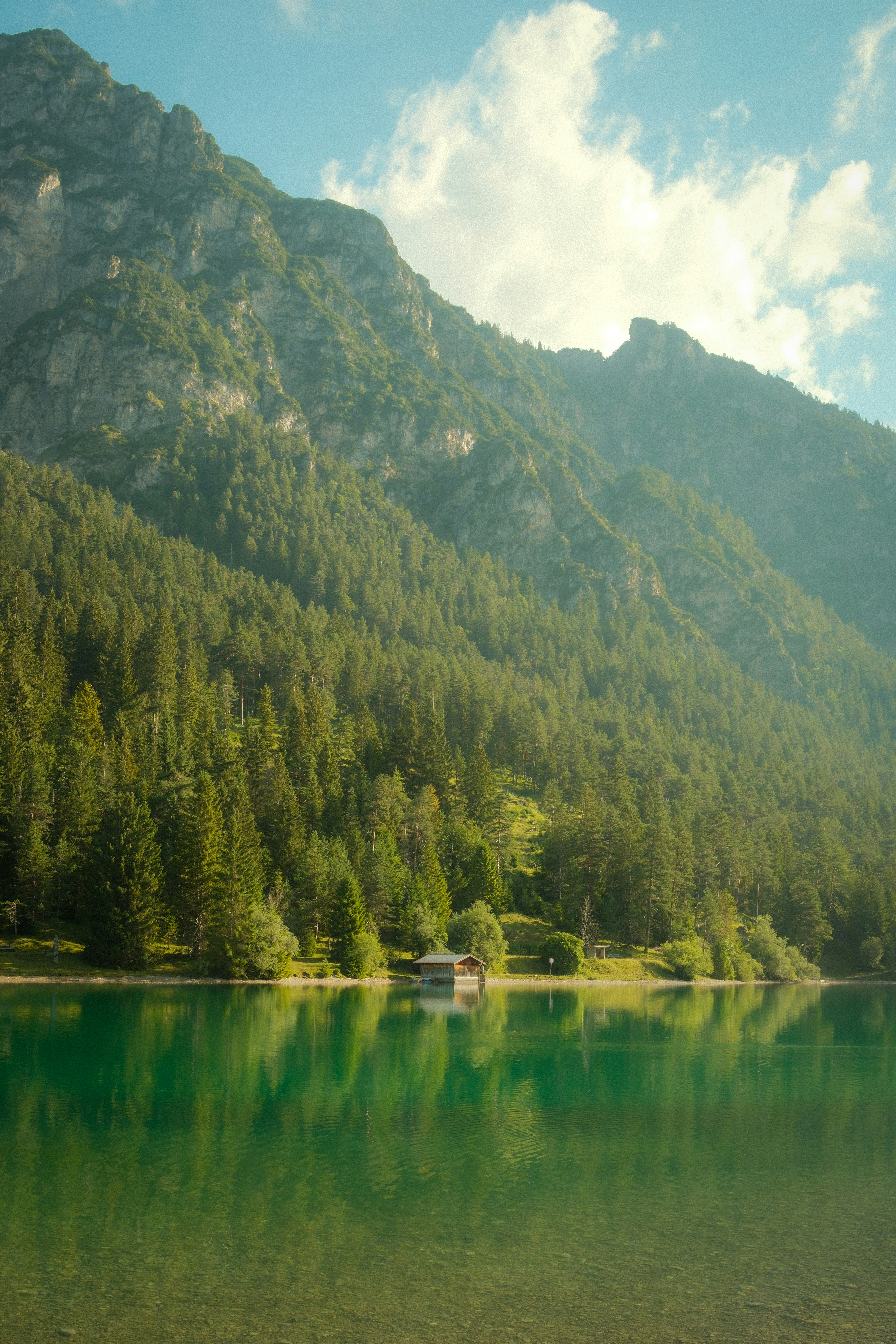 Towering Pines and Mirror-Lake Silence