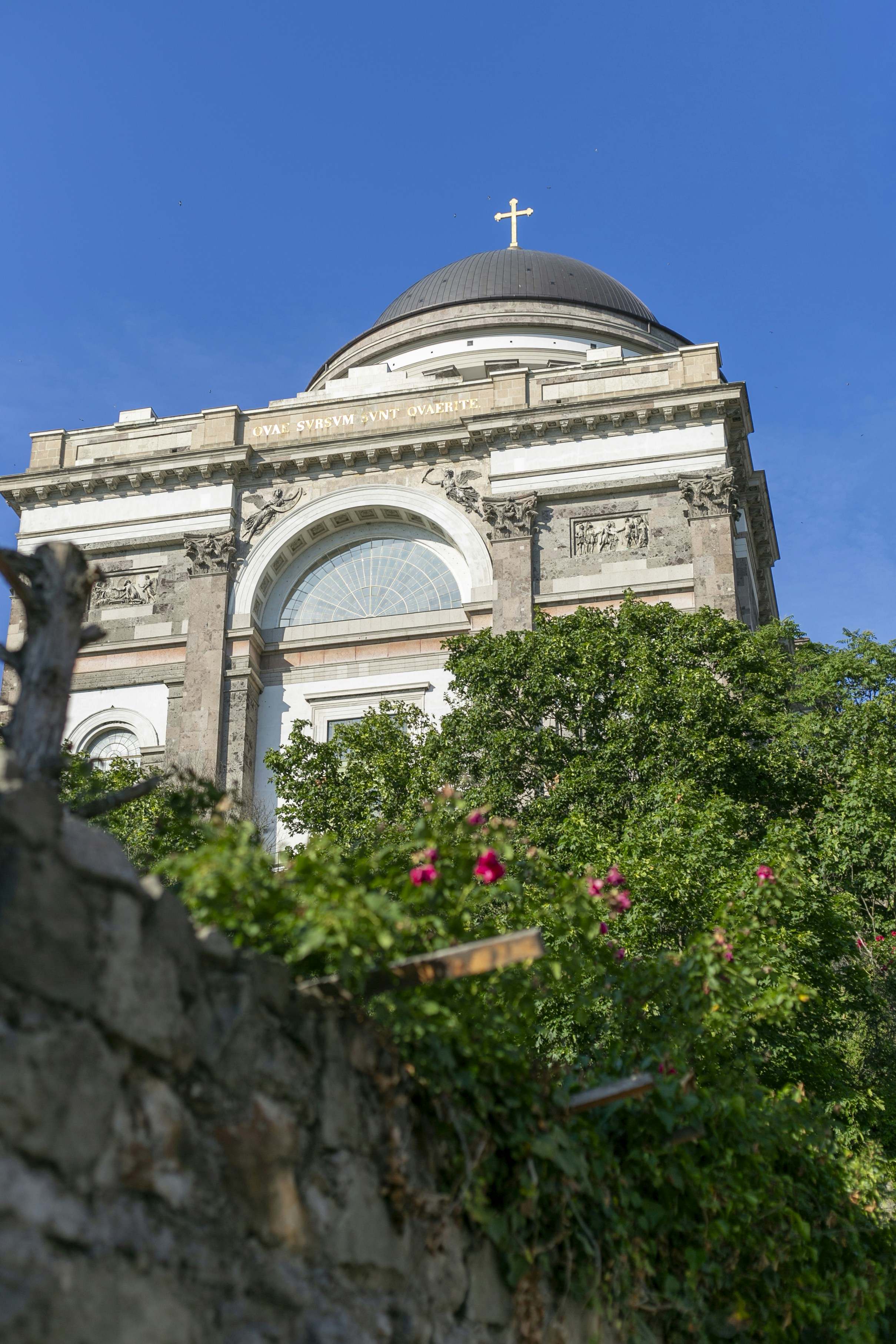 Cross and Dome: The Cathedral Surrounded by Green vines Under a Clear Blue Sky