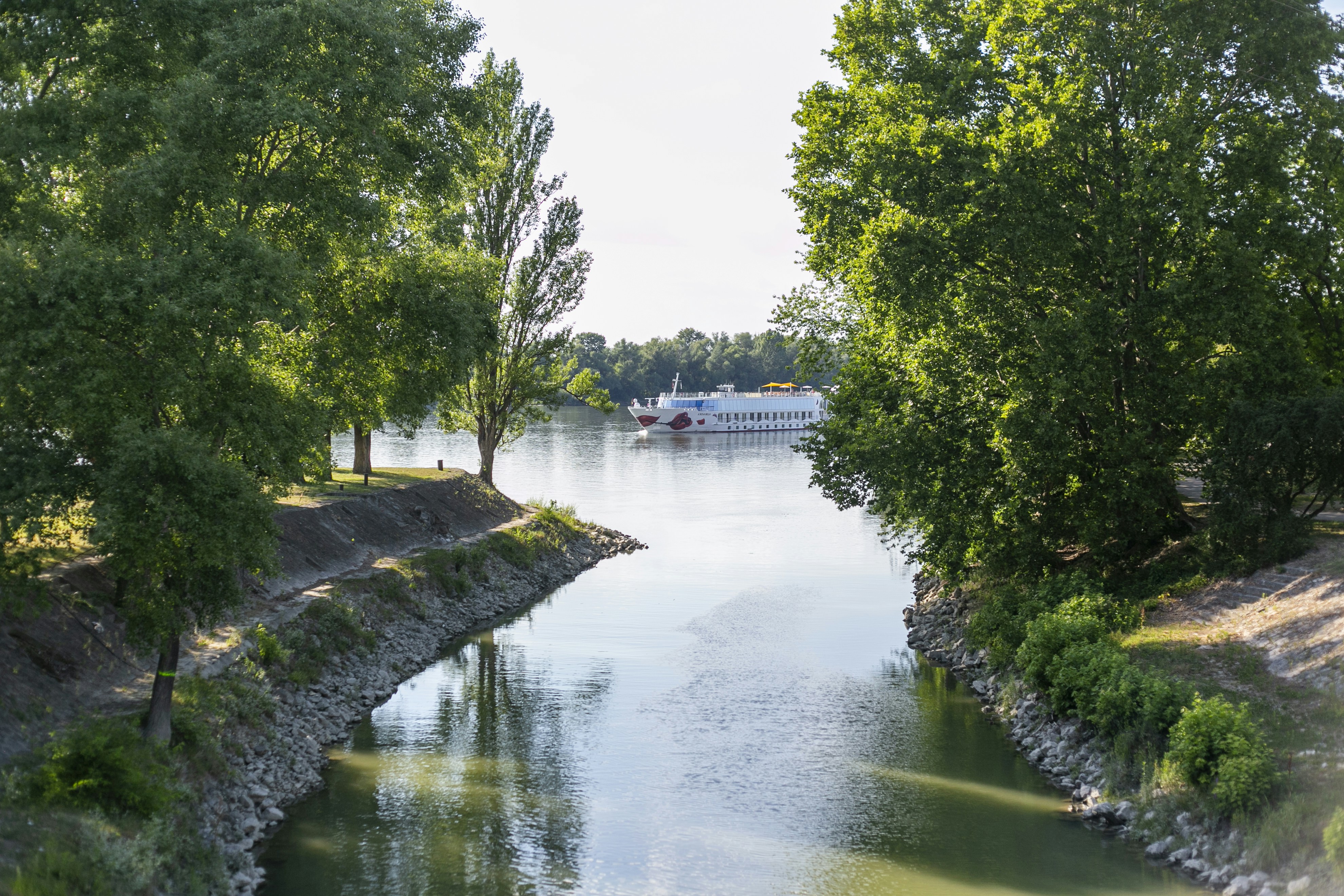 A Quiet Waterway Framed by Green Canopy and a Distant Vessel