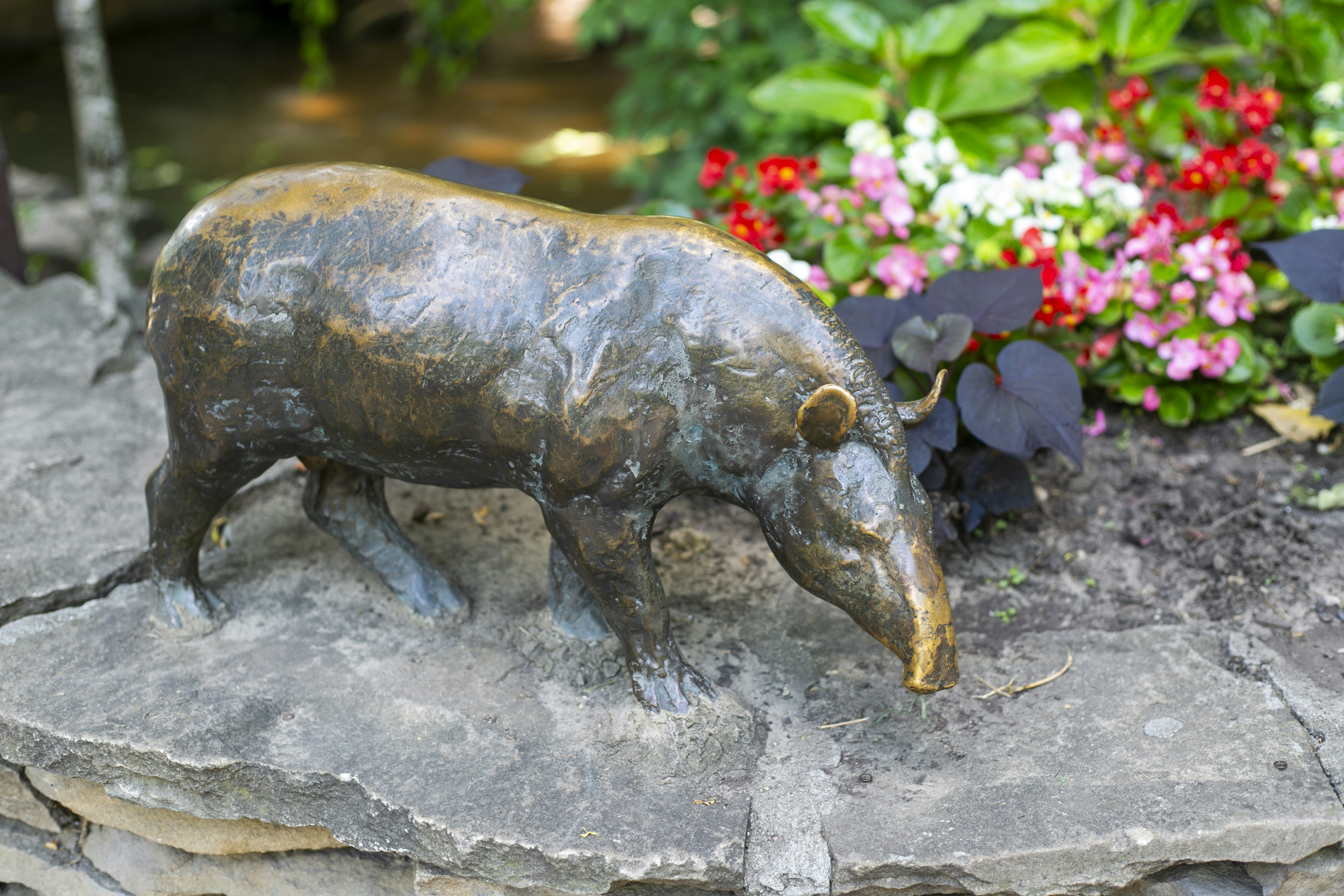 Bronze Burrow: A Sculpted Pig On A Rock Observatory