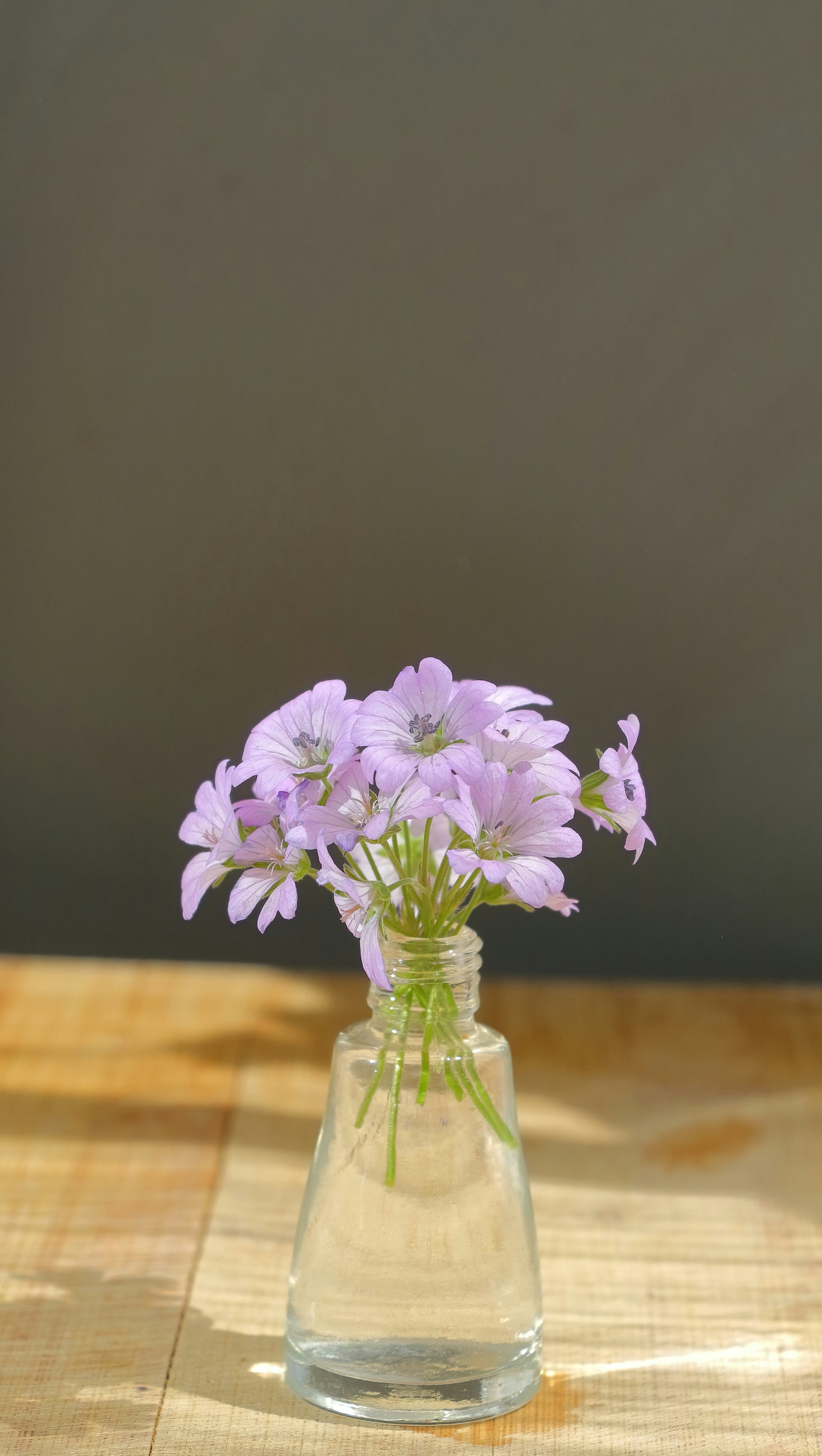 Lavender Bouquet in a Simple Glass Bottle