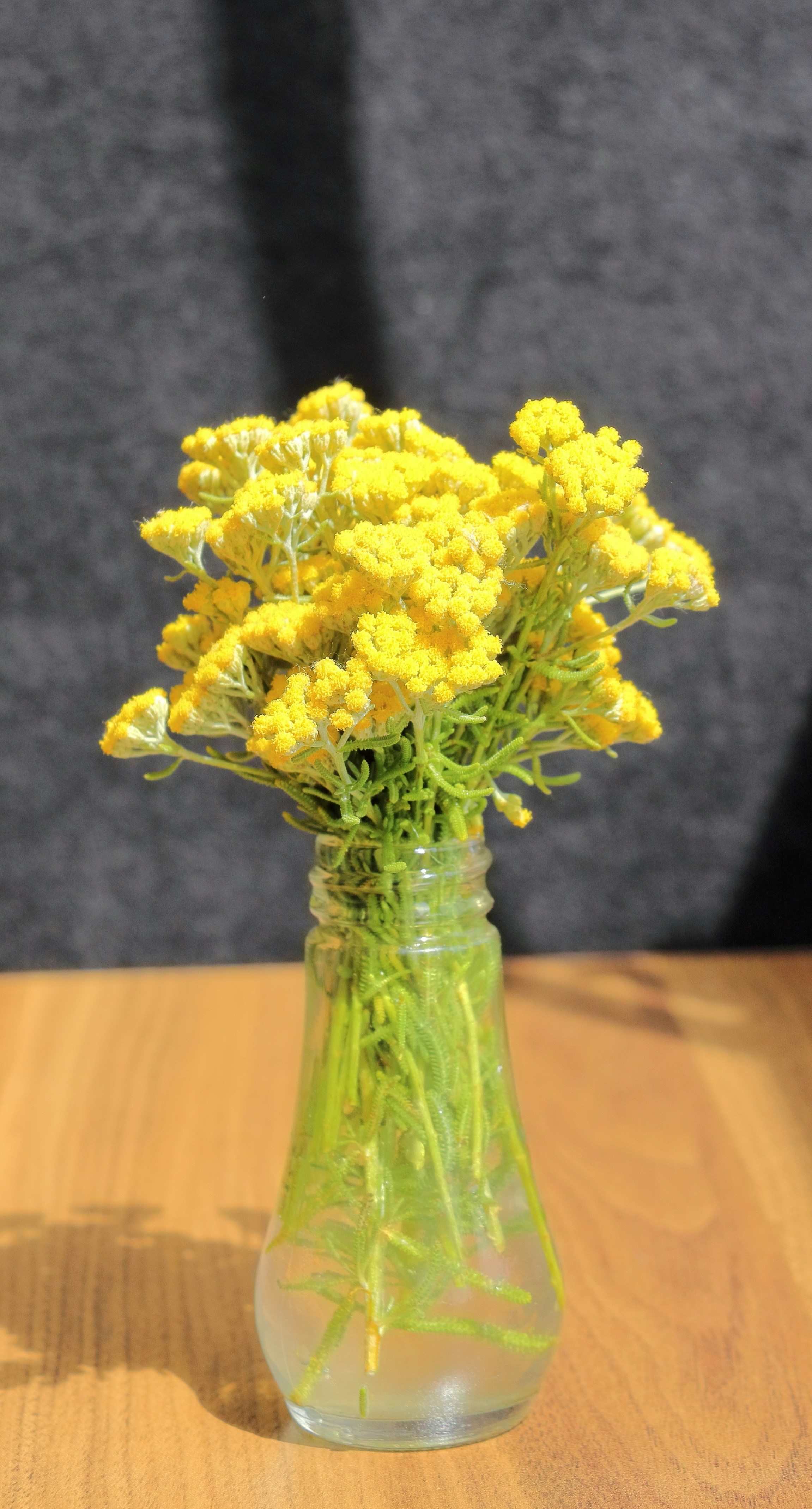 Yellow Sprigs in a Glass Vase: Simplicity on a Wooden Table