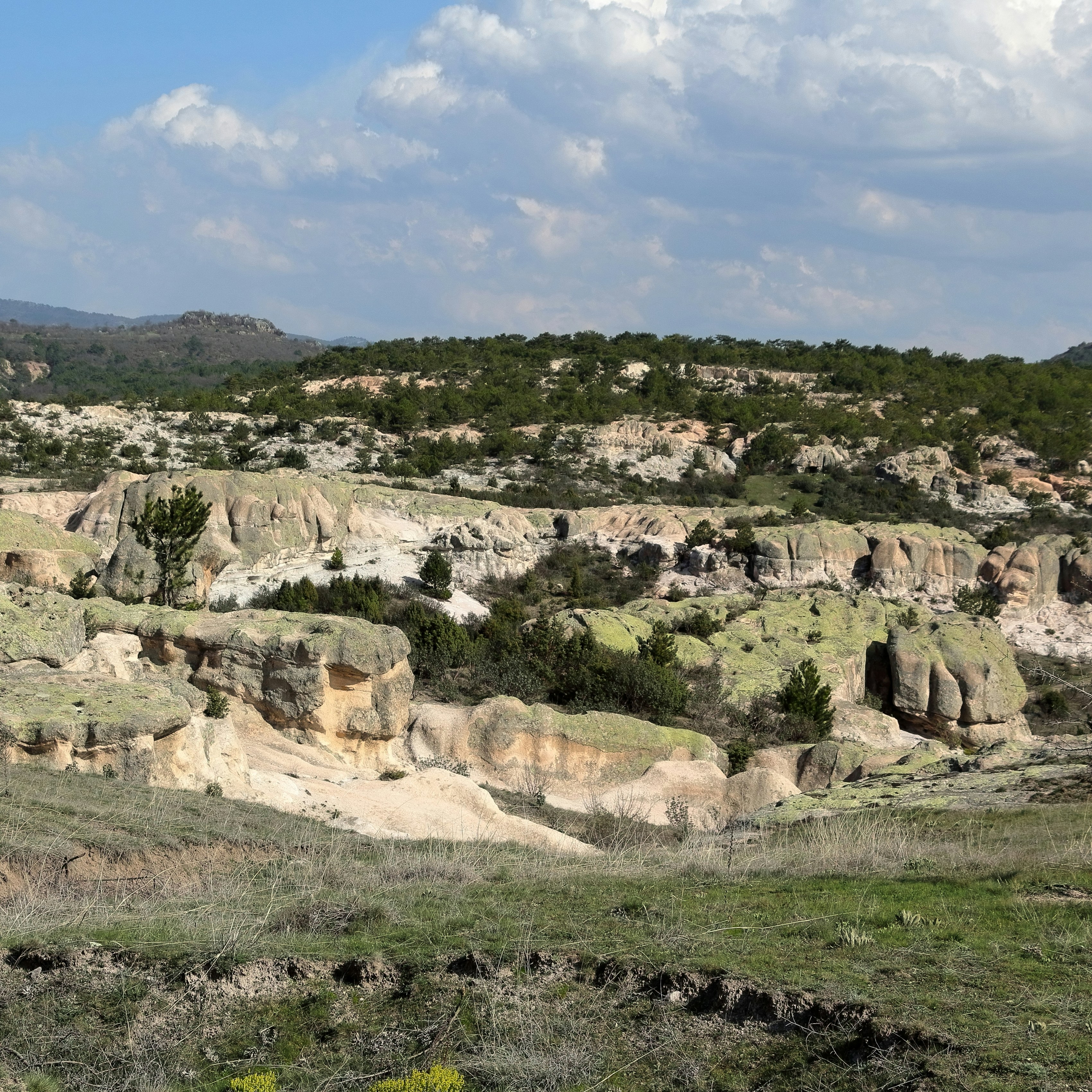 Pebbled Hills under a Quiet Sky