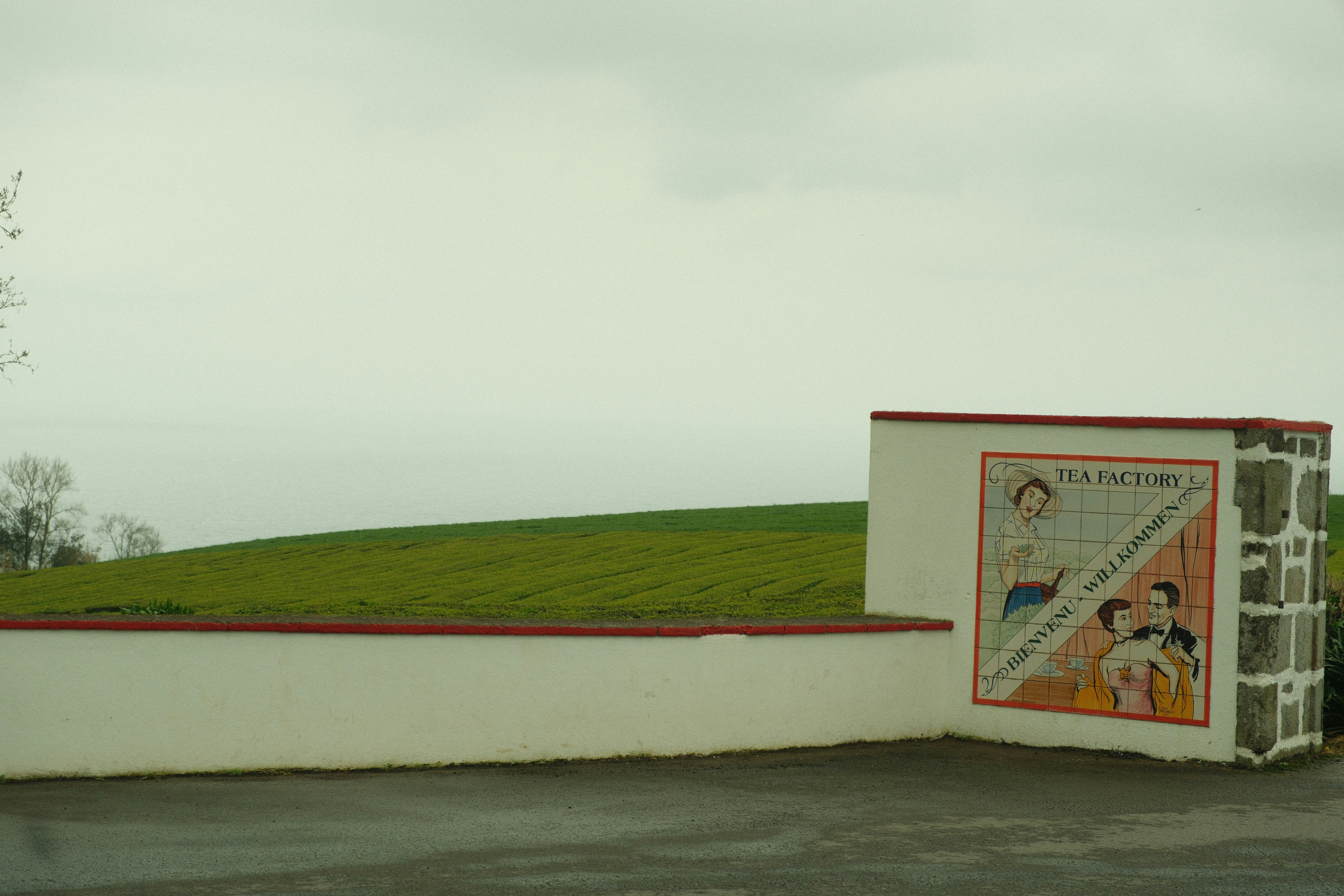 Tea Factory Wall Mosaic Anchored by Rolling Green Slopes