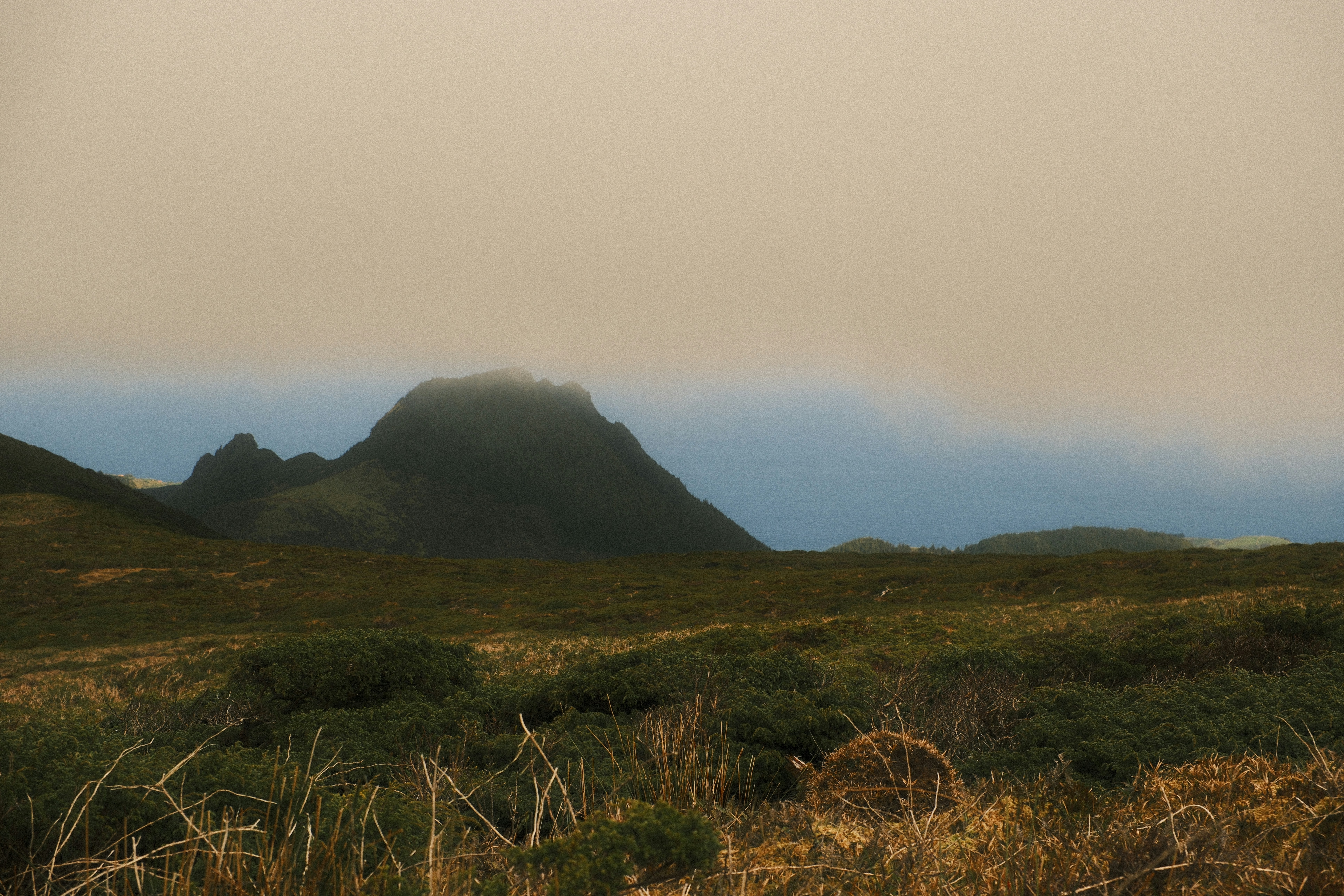 Whispering Ridge at Dusk: A Quiet Moorland Under a Soft Horizon