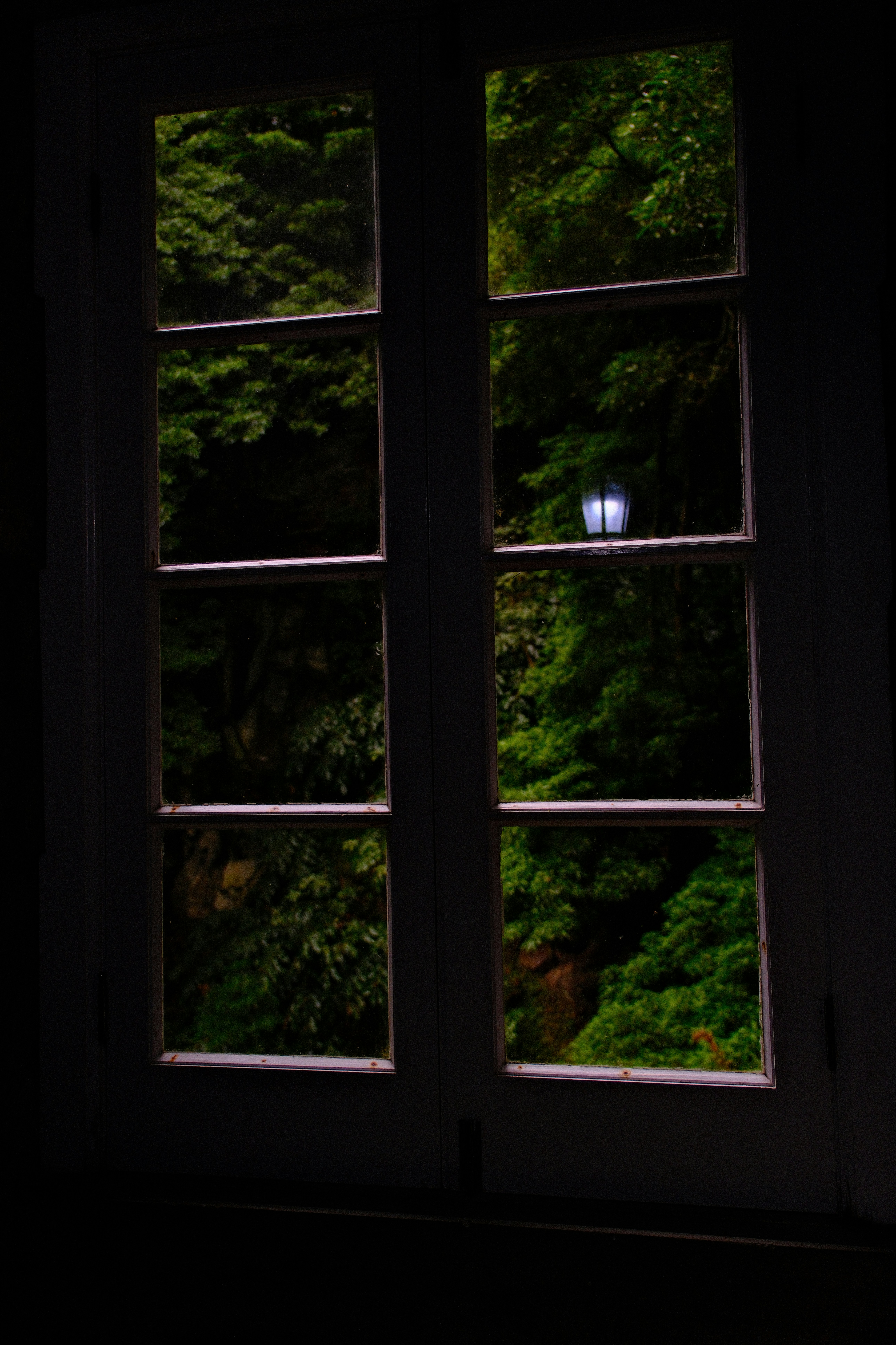 Midnight Window: A Quiet Green Glow Beyond Framed Glass