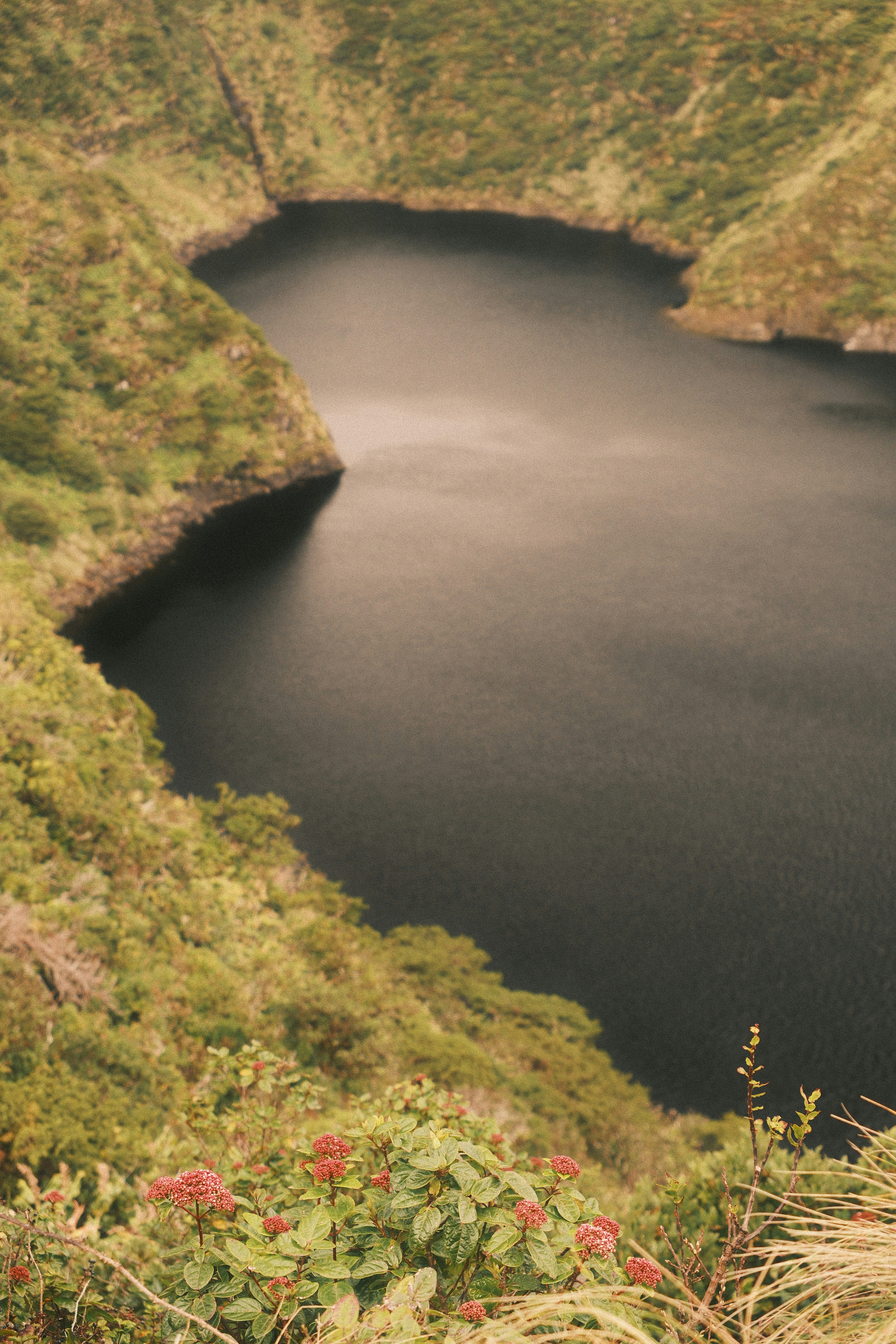 Verdant Rim Over Quiet Water: A Cliffside View Downward