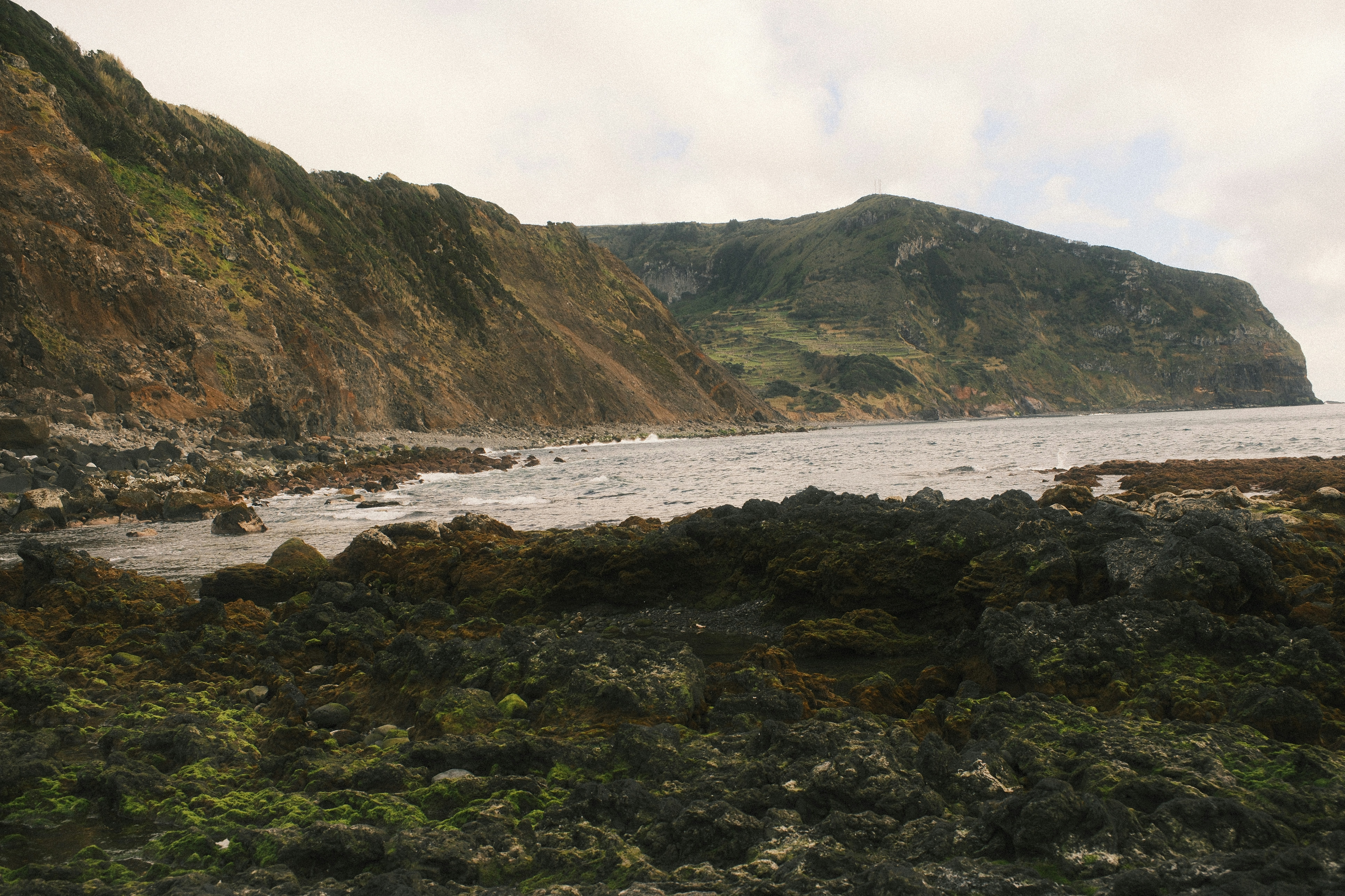 Rugged Cove: Mossy Rocks Meet Atlantic Light