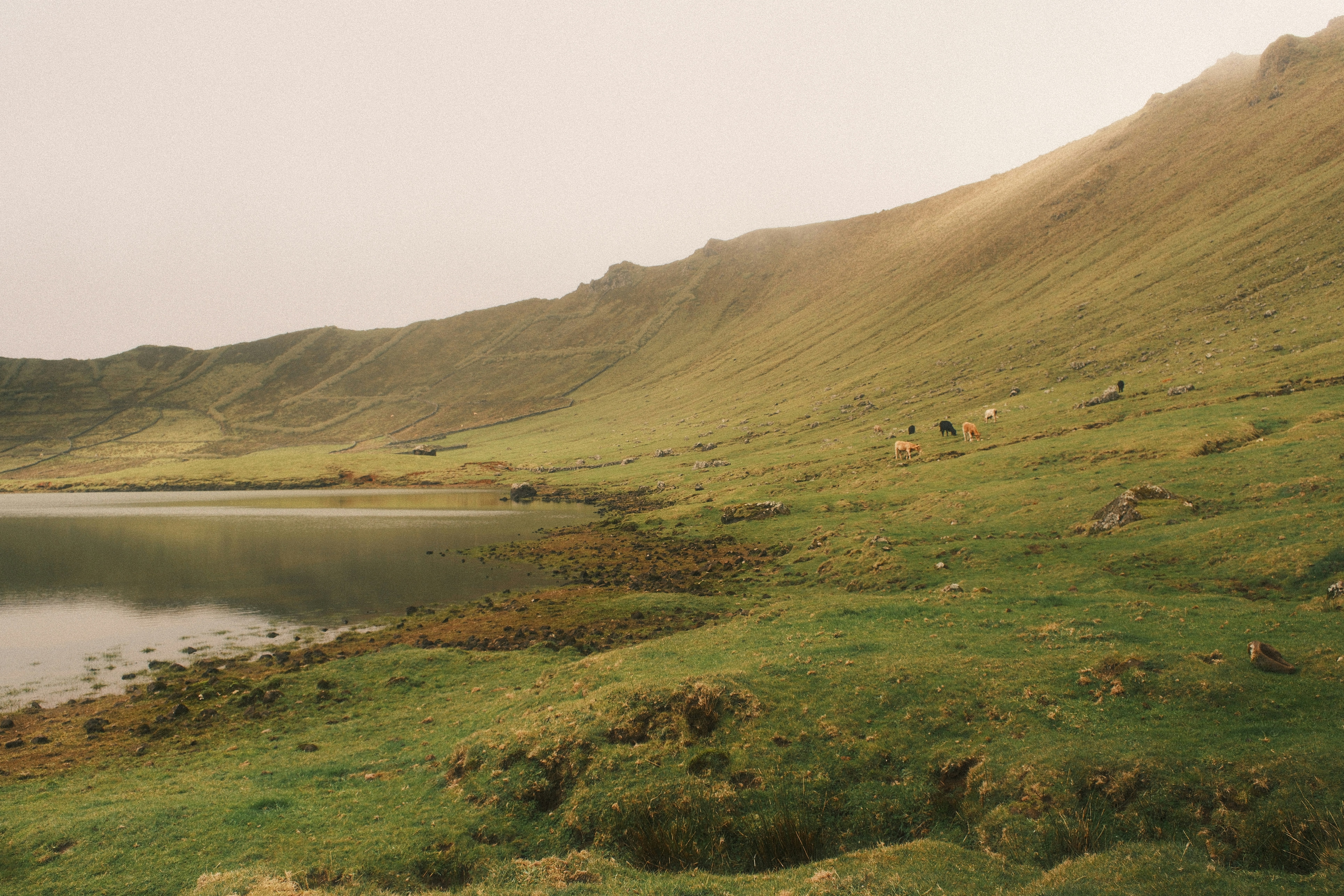 Rolling hillside by a quiet lakeshore at golden hour