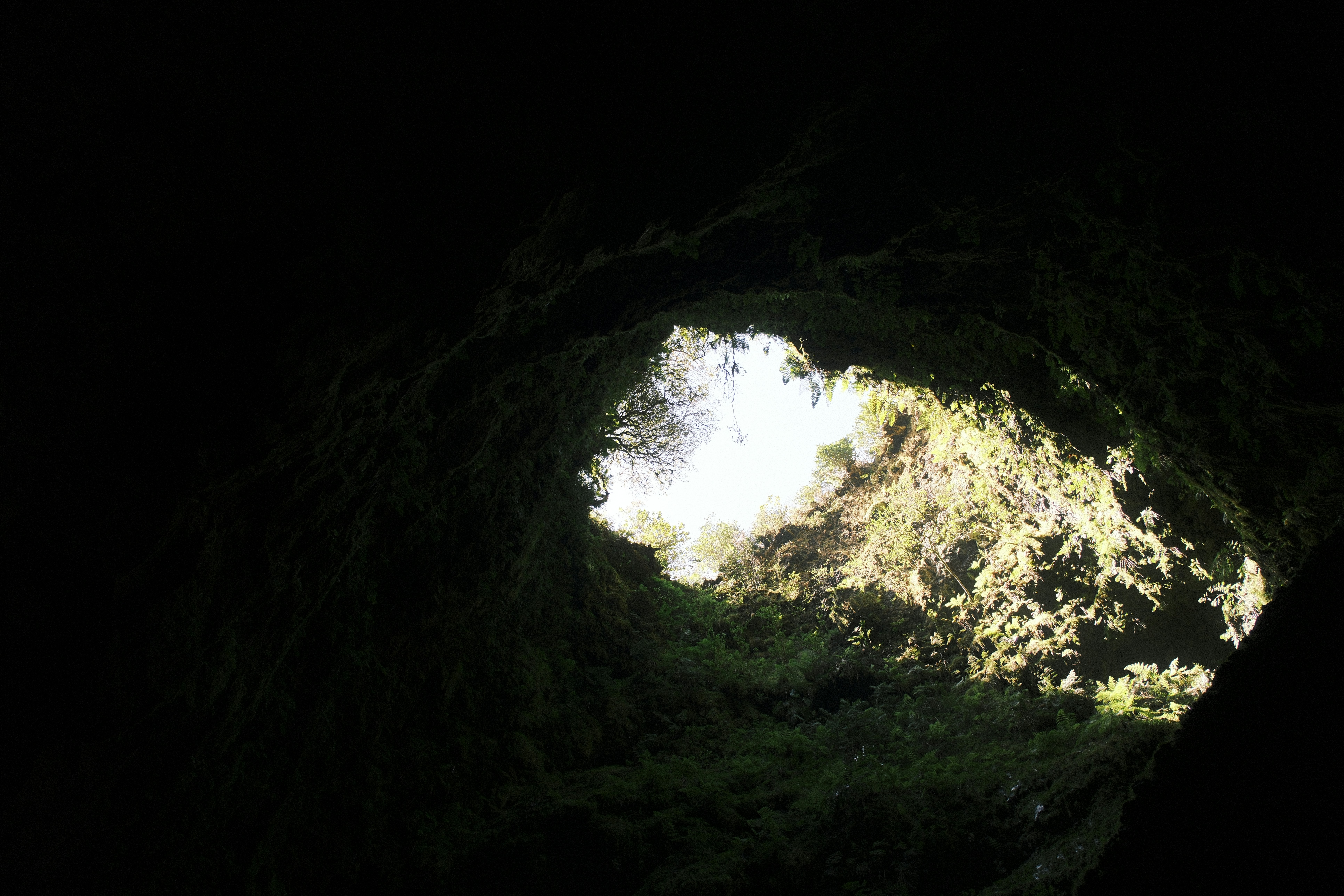 Cave Window to the Light: Inner Rim Framing the Exterior