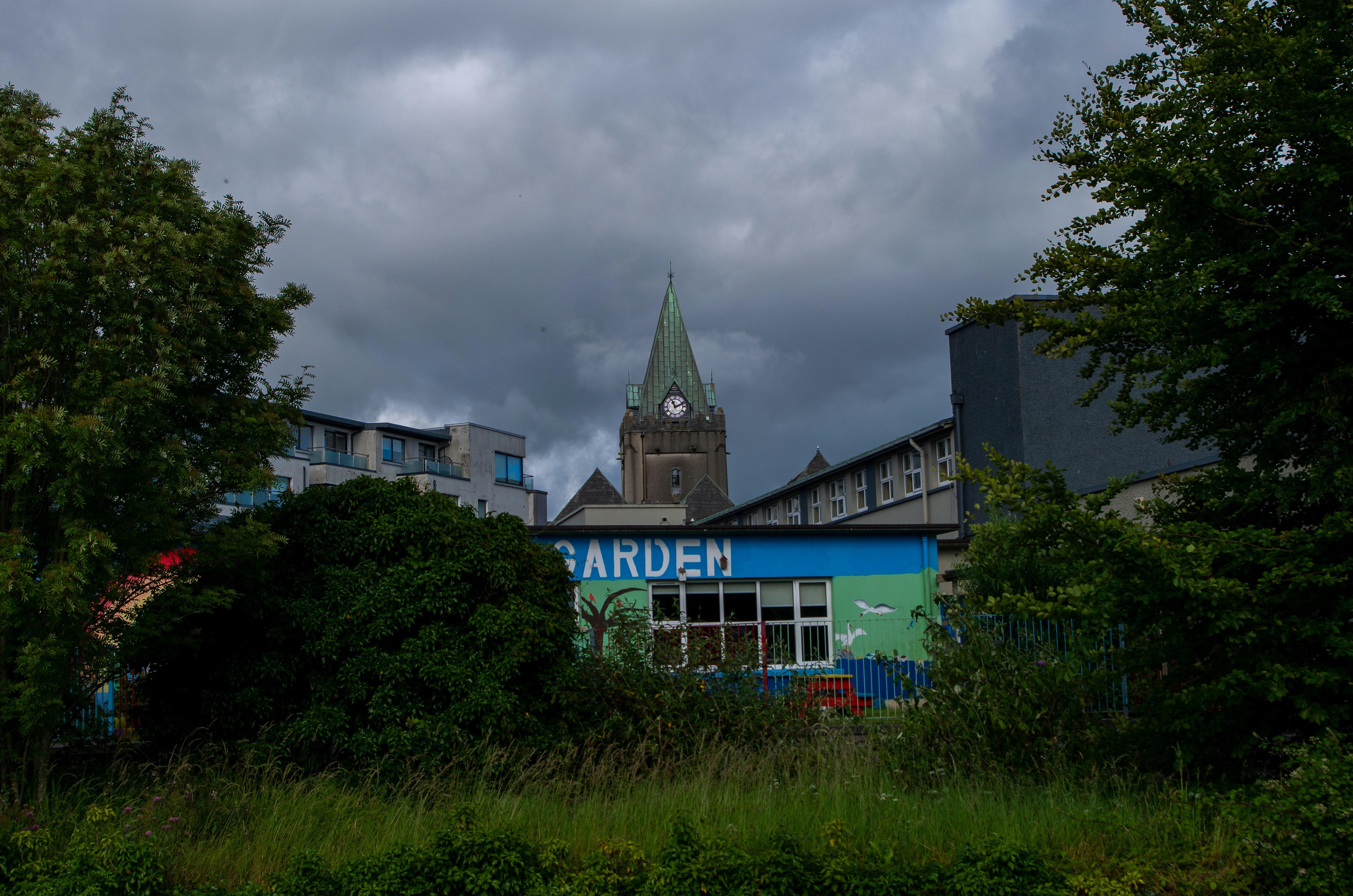Clocktower Amidst Urban Green: A Quiet Distant View