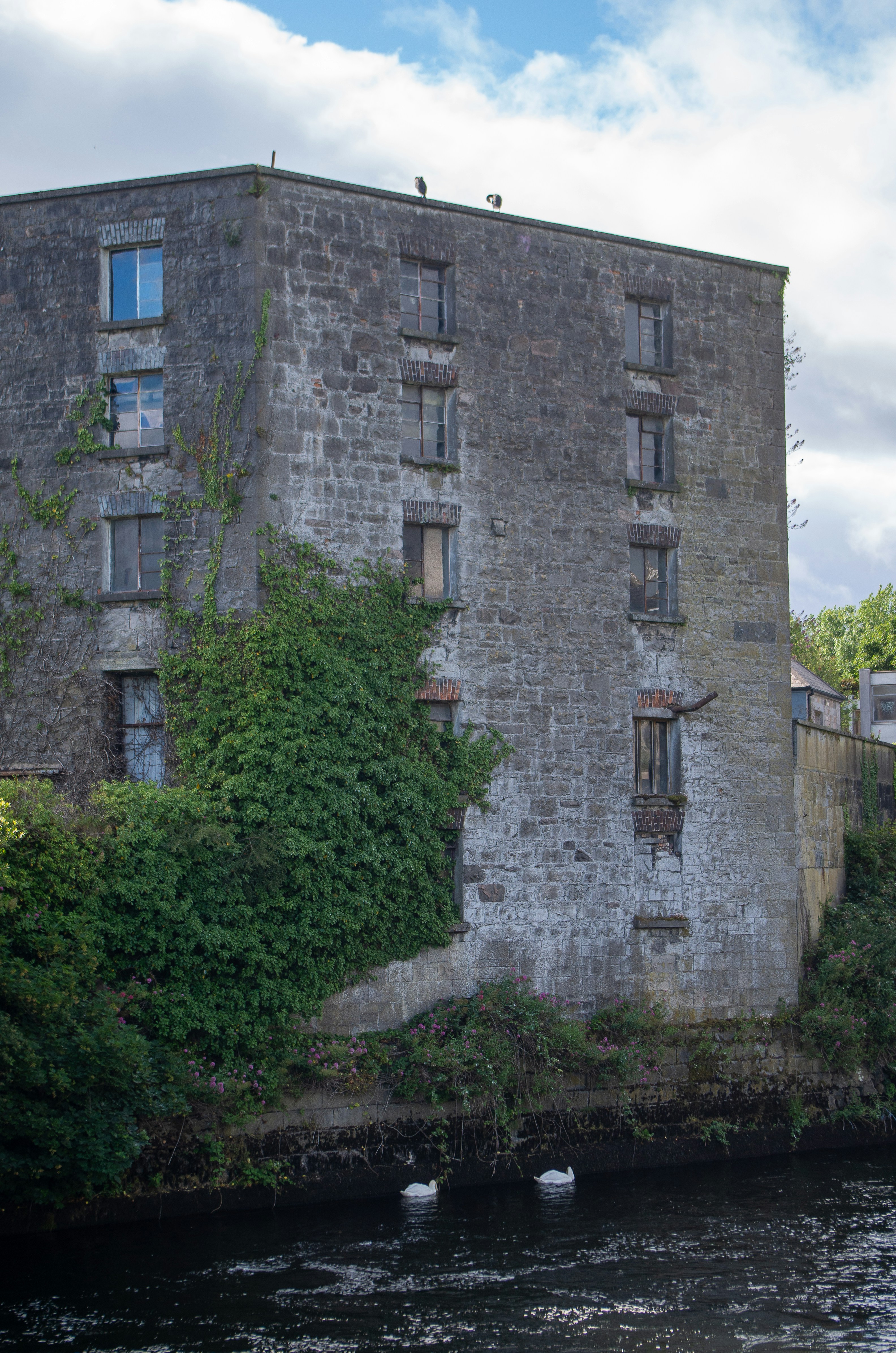 Waterfront Reliquary: A Stony Factory Reaches for the Sky