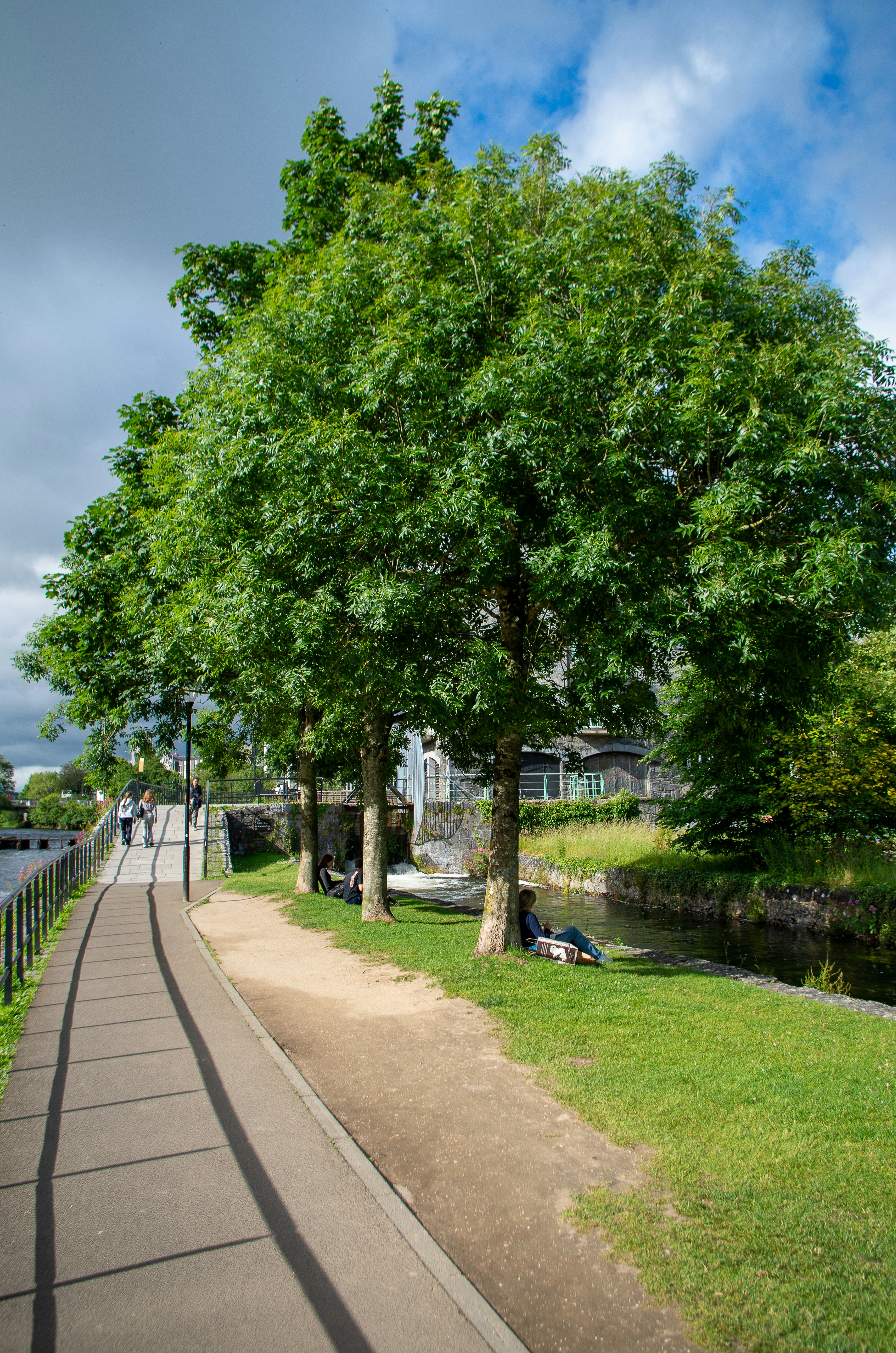 Riverwalk Shade: A Sunlit Canopy Over the Quiet Path