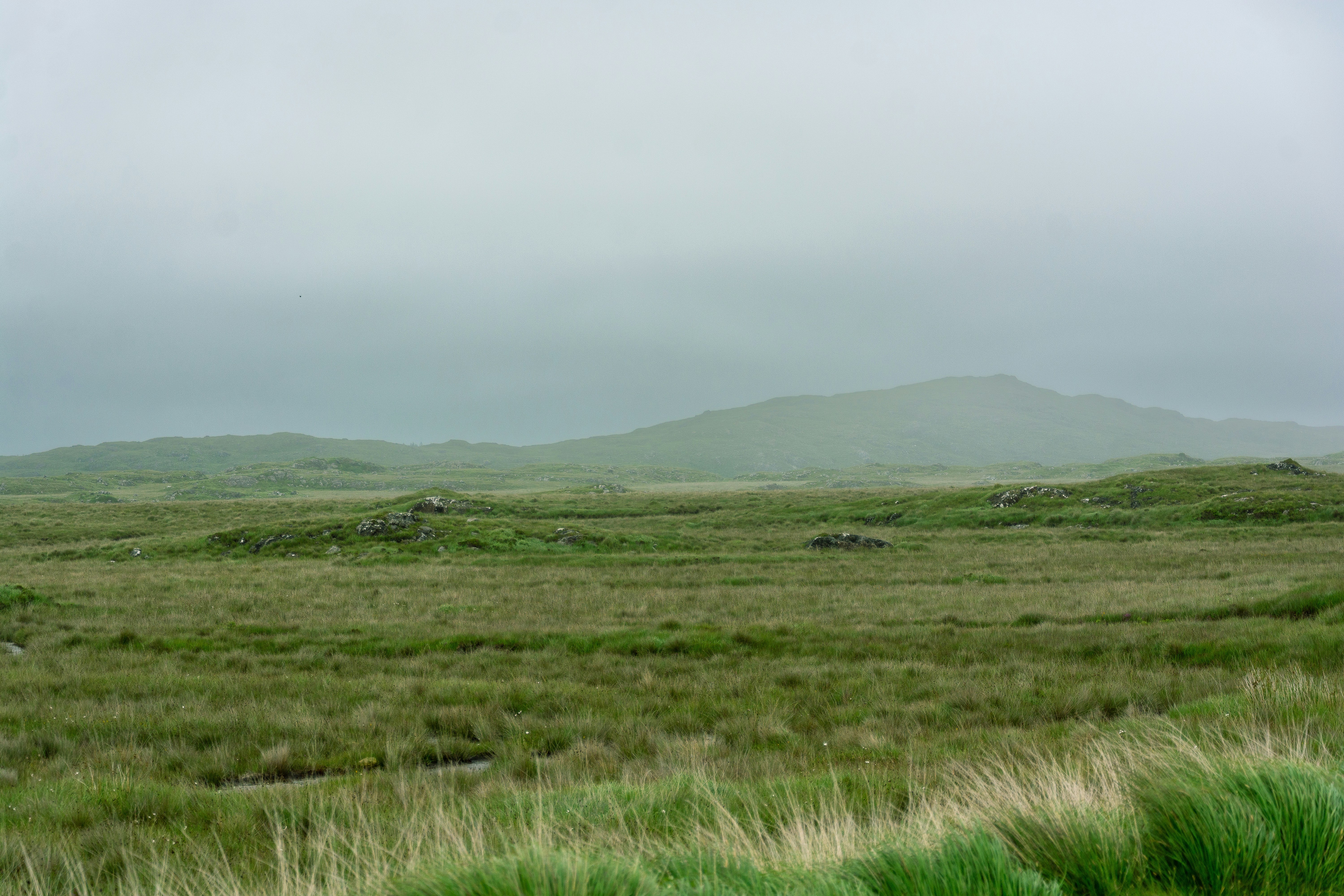 Moorland Horizon under a Quiet, Misty Sky