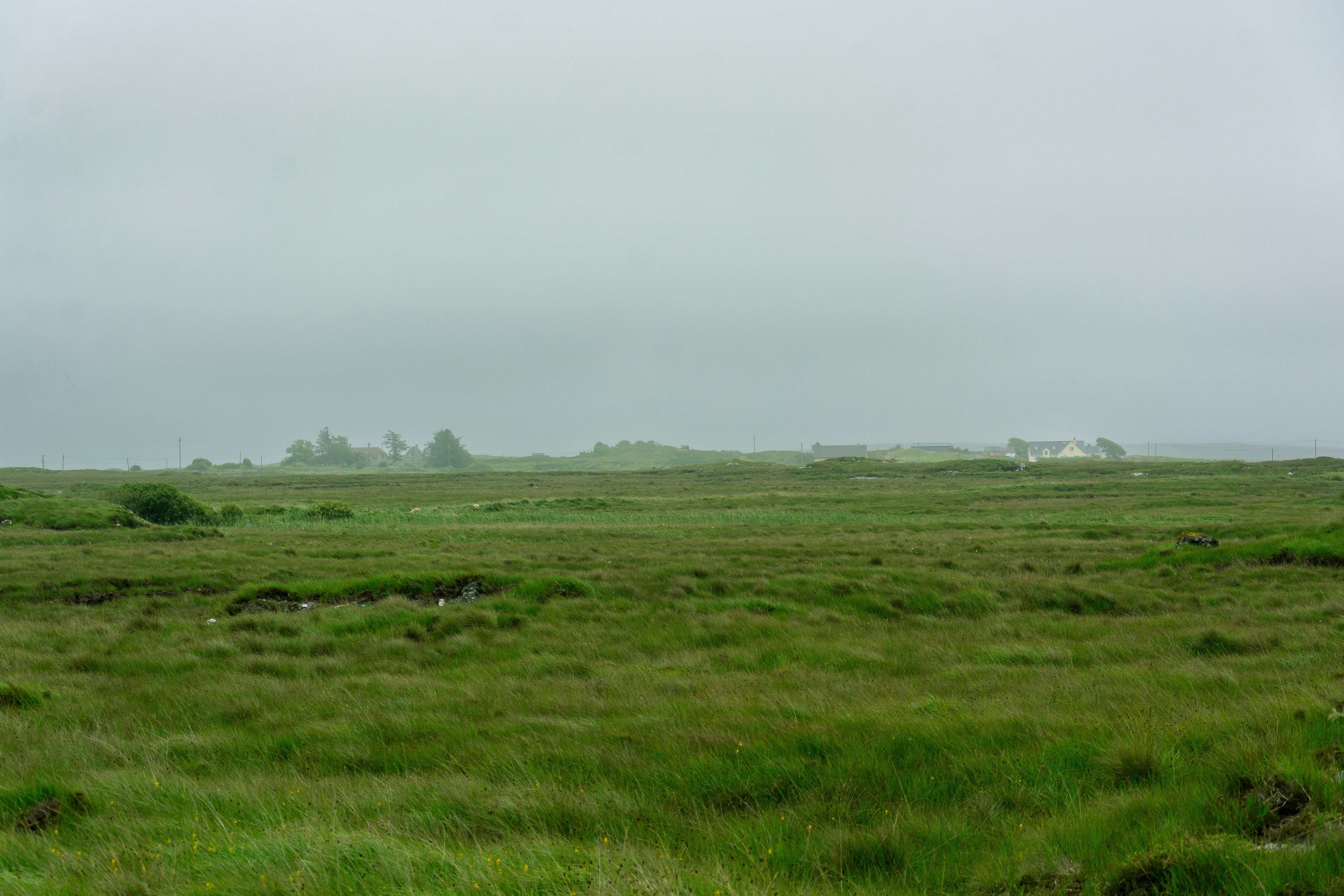 Mist-Lined Seascape:Quiet Pasture on the Horizon