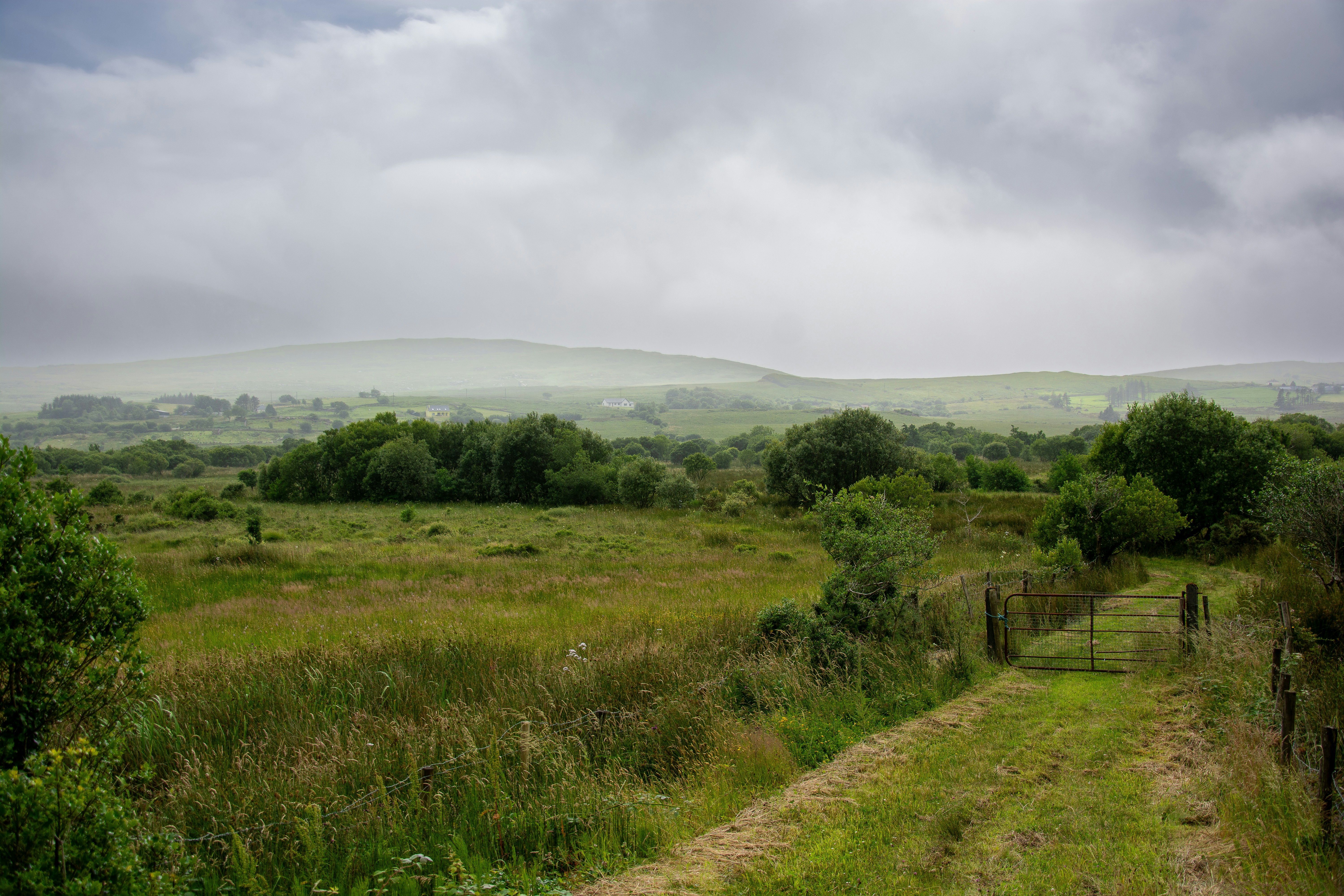 Pasture Path to the Misty Horizon