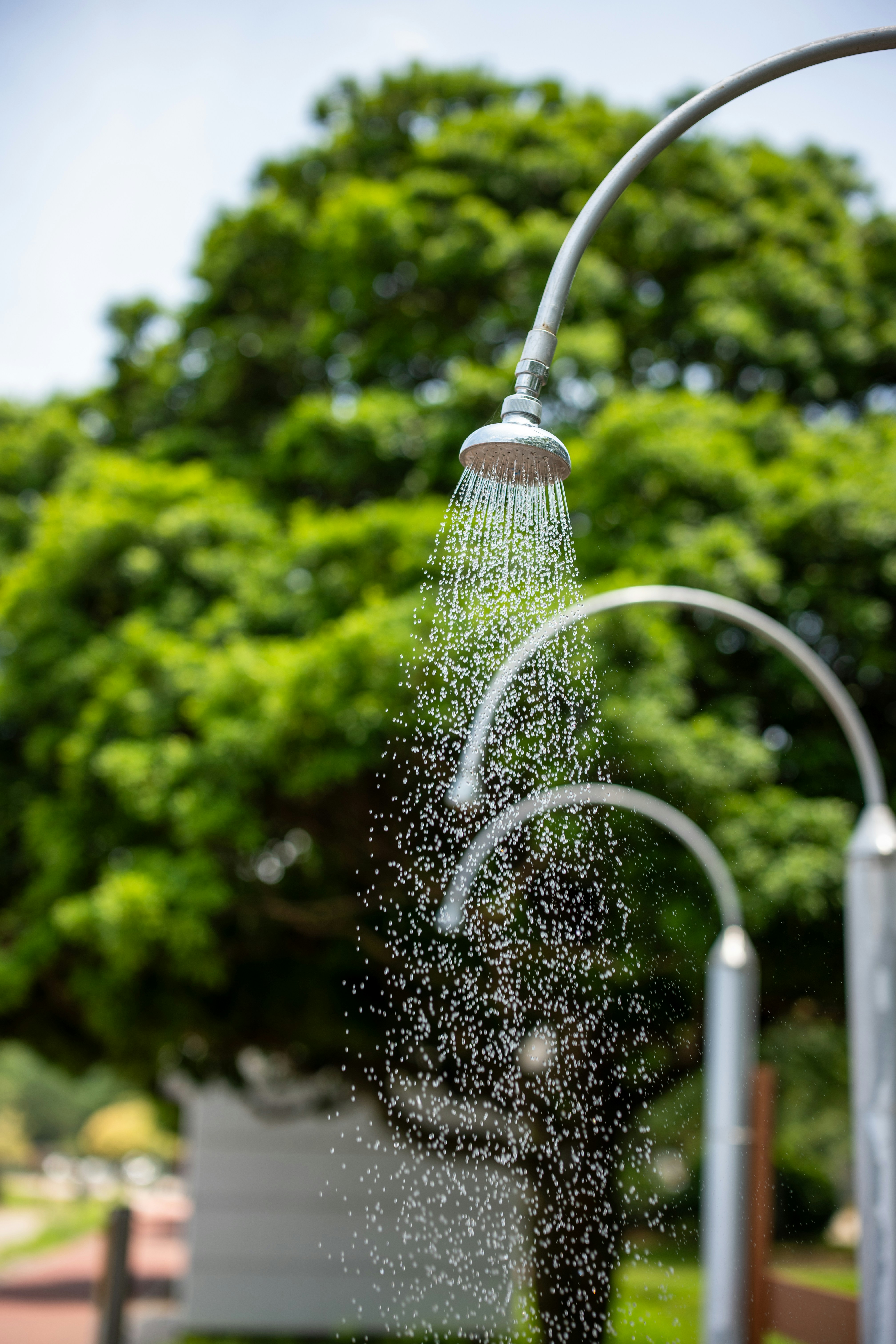 Arching Shower Lines: A Row of Outdoor Showers in Green Light