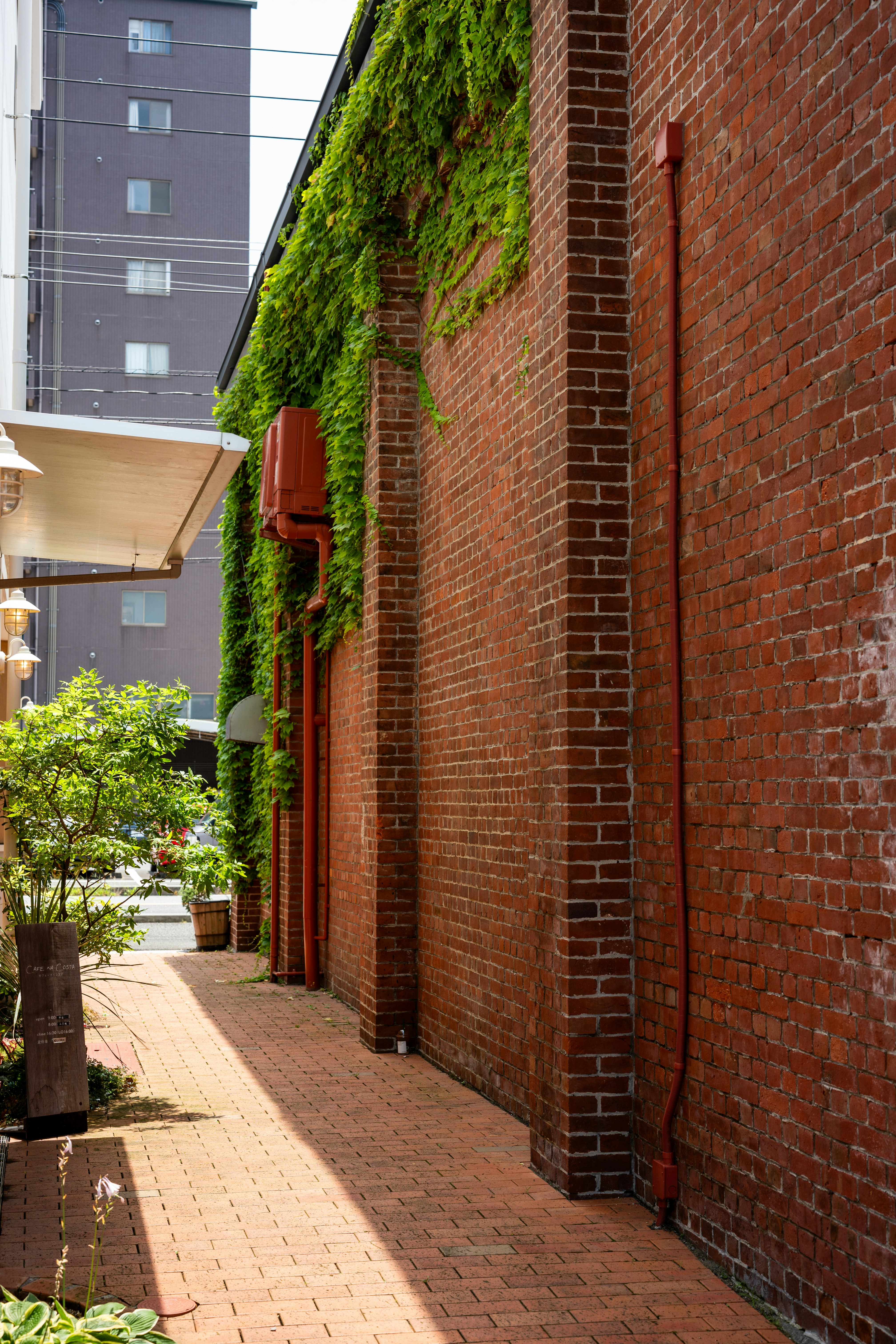 Narrow Brick Corridor with Ivy and Shadowed Path