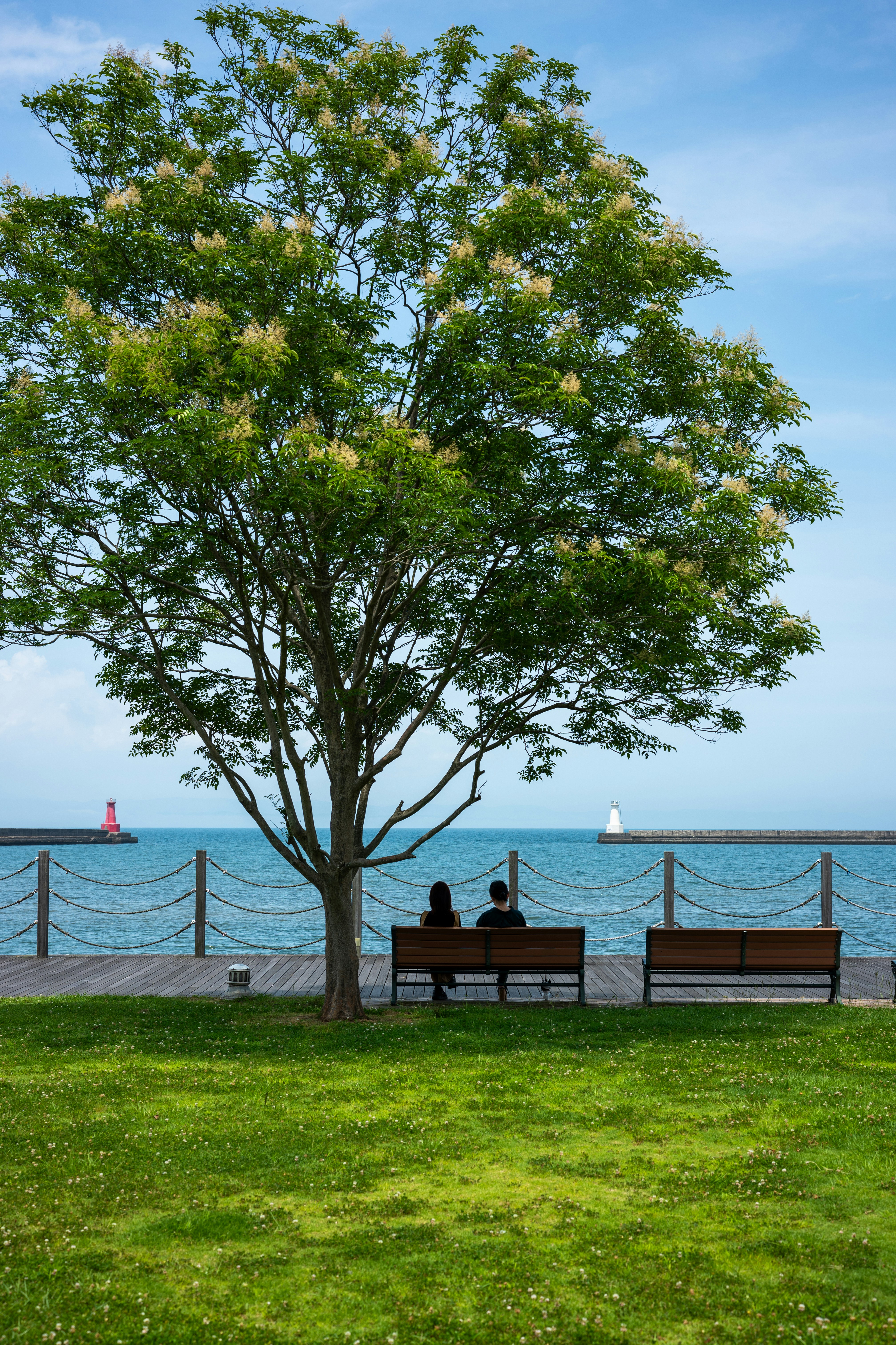 Shaded Conversation Under a Silent Tree by the Sea