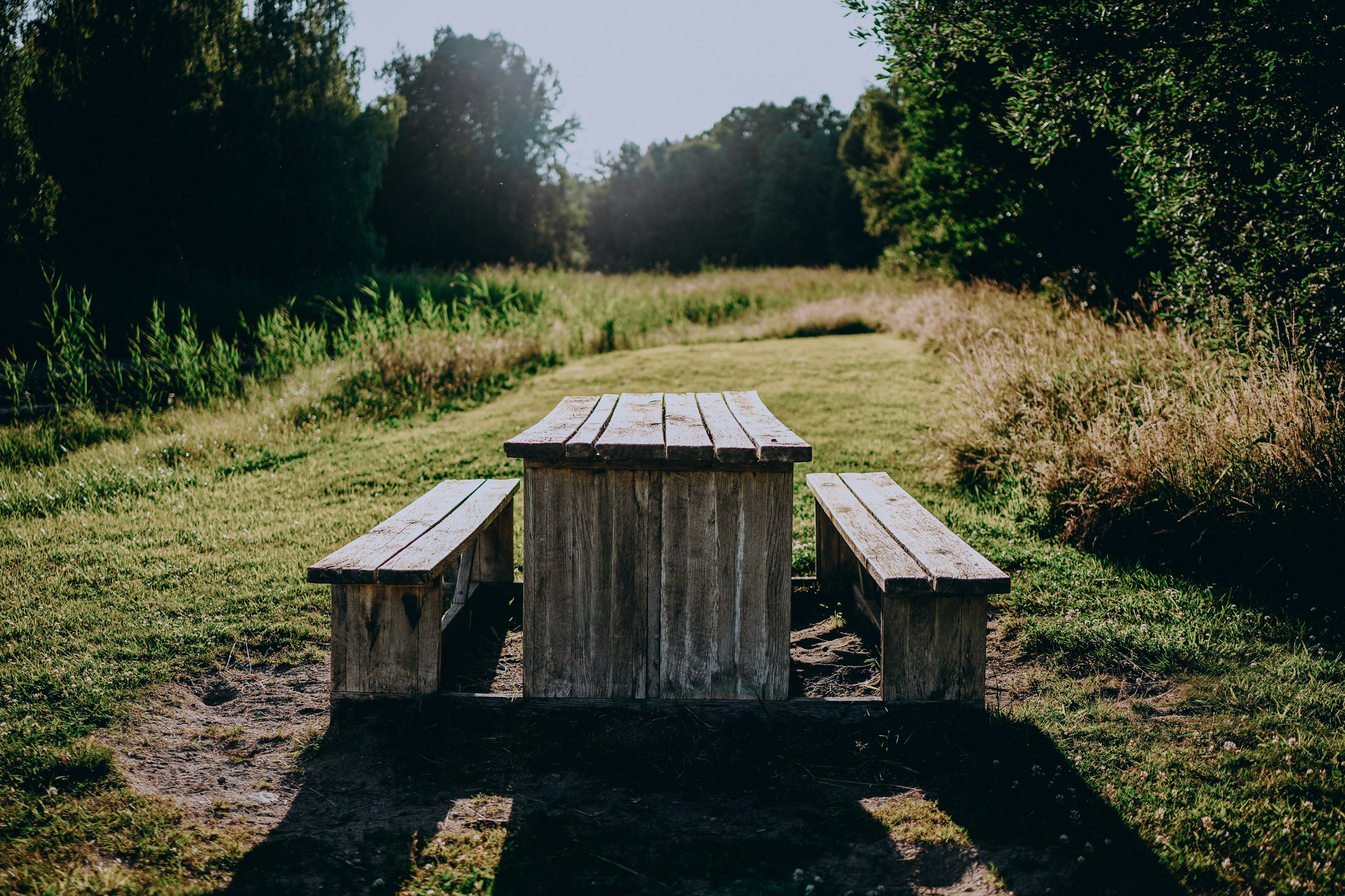 Sunlit Picnic Table Surrounded by Quiet Meadow