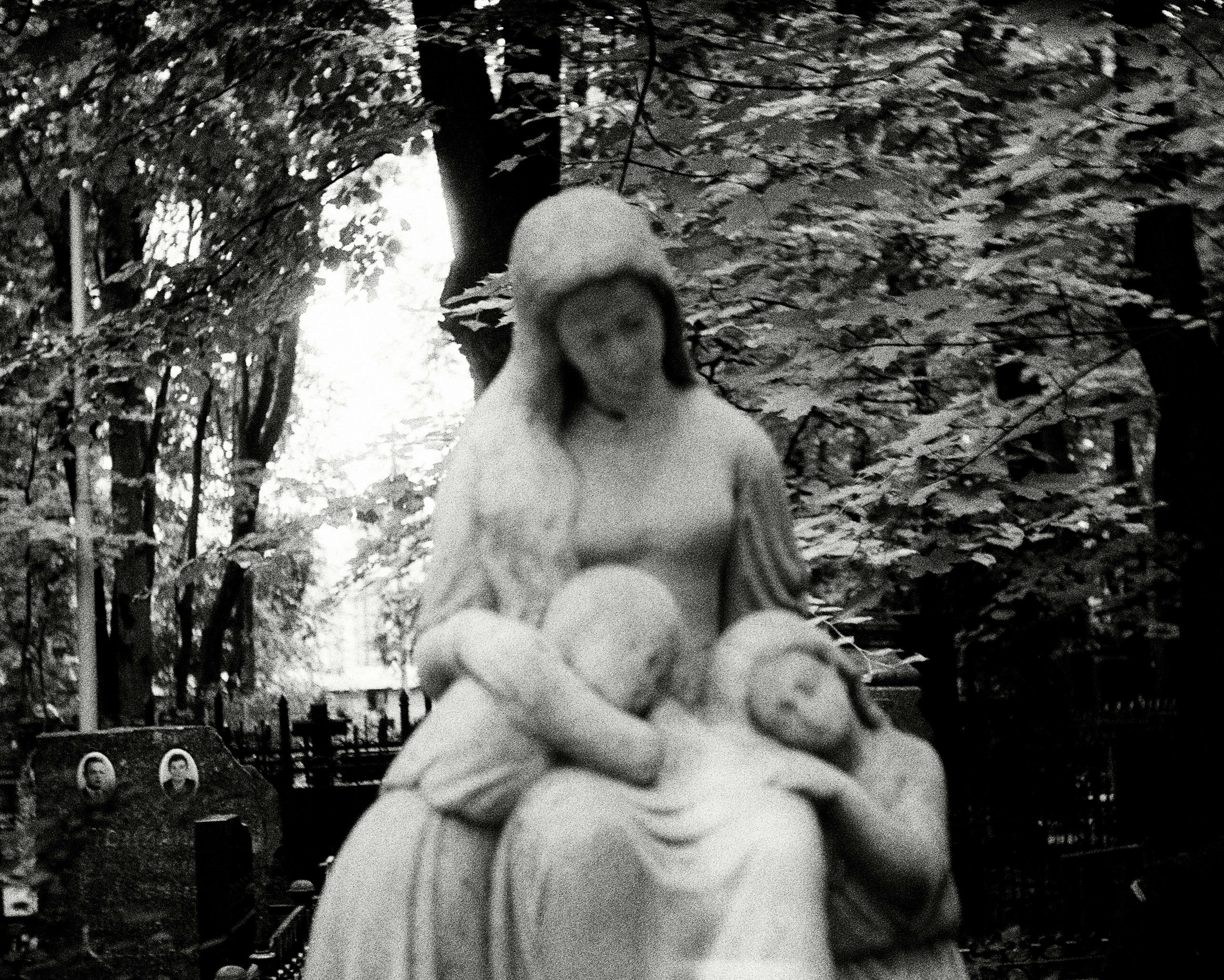 Weathered Grace: Marble Beneath the Forest Canopy