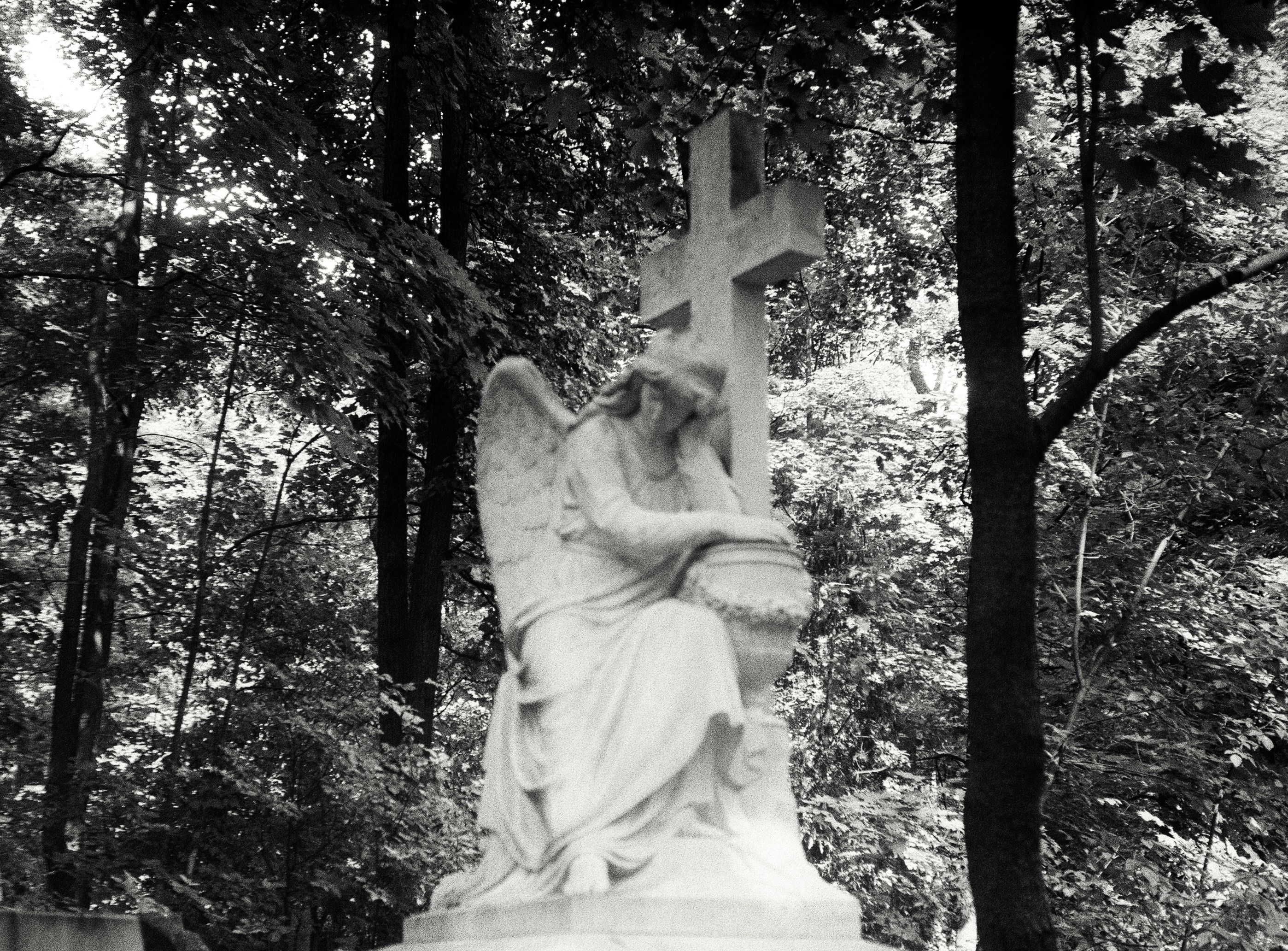 Angelic Statue in a Forest Crypt