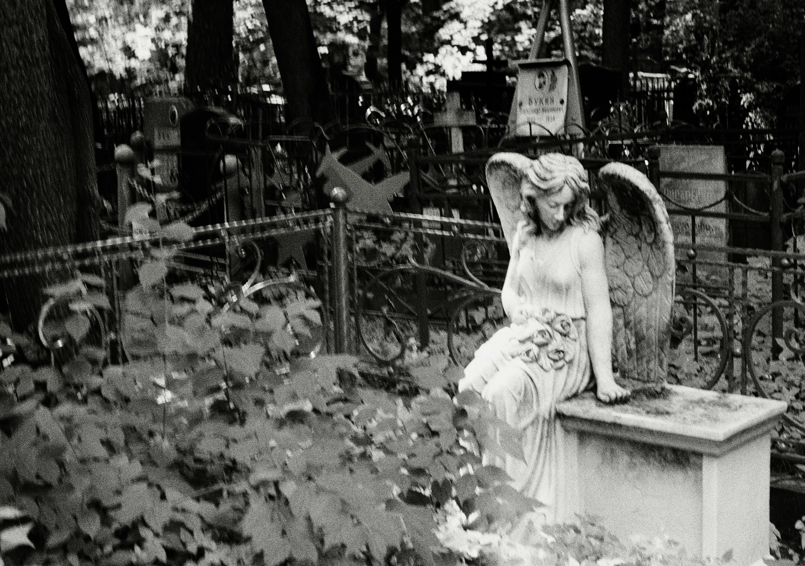 Whispering Angel in the Garden