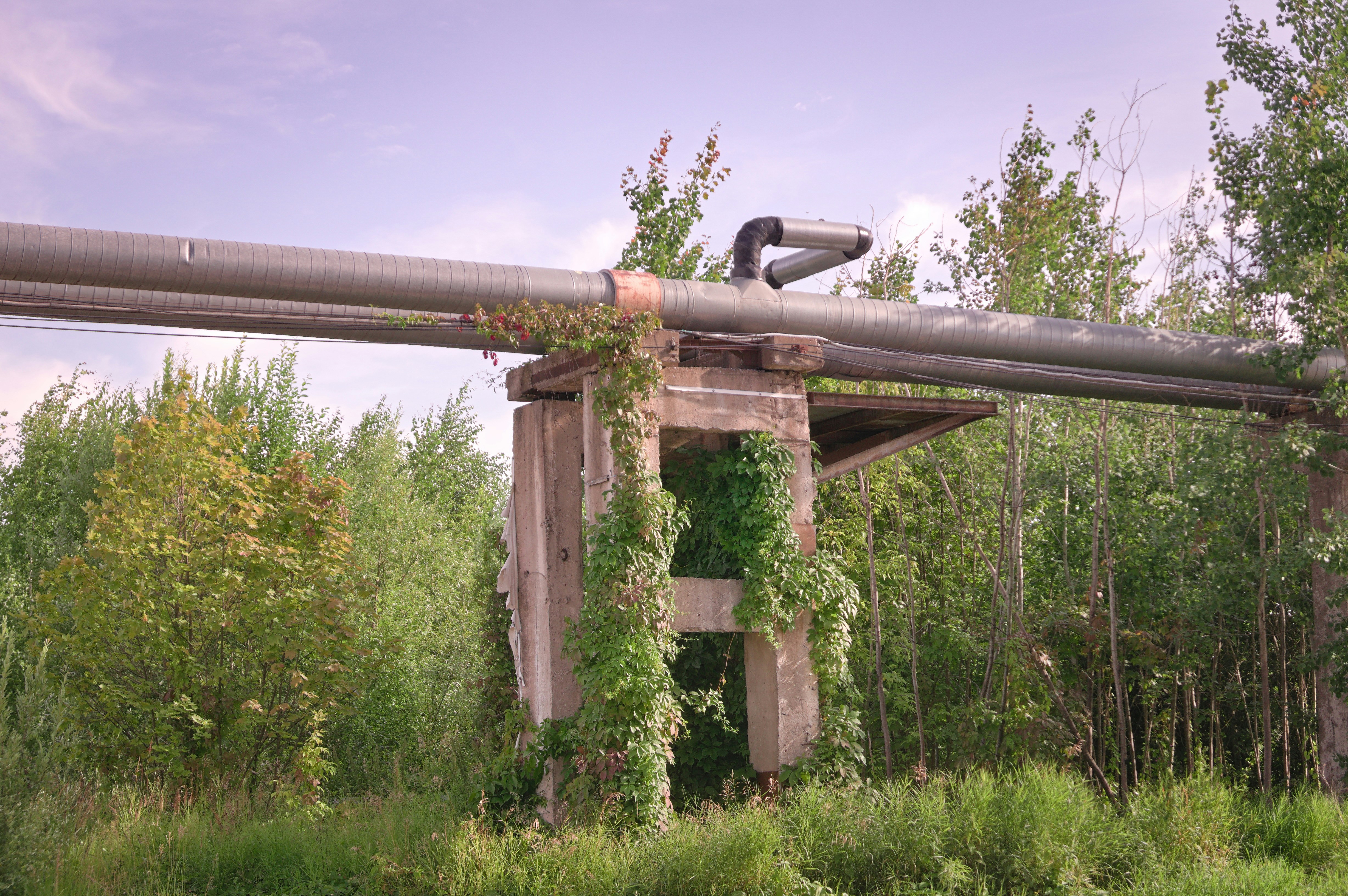 Old concrete pipe support stretches across a weathered pipeline, with greenery reclaiming the structure in a quiet, overgrown landscape.