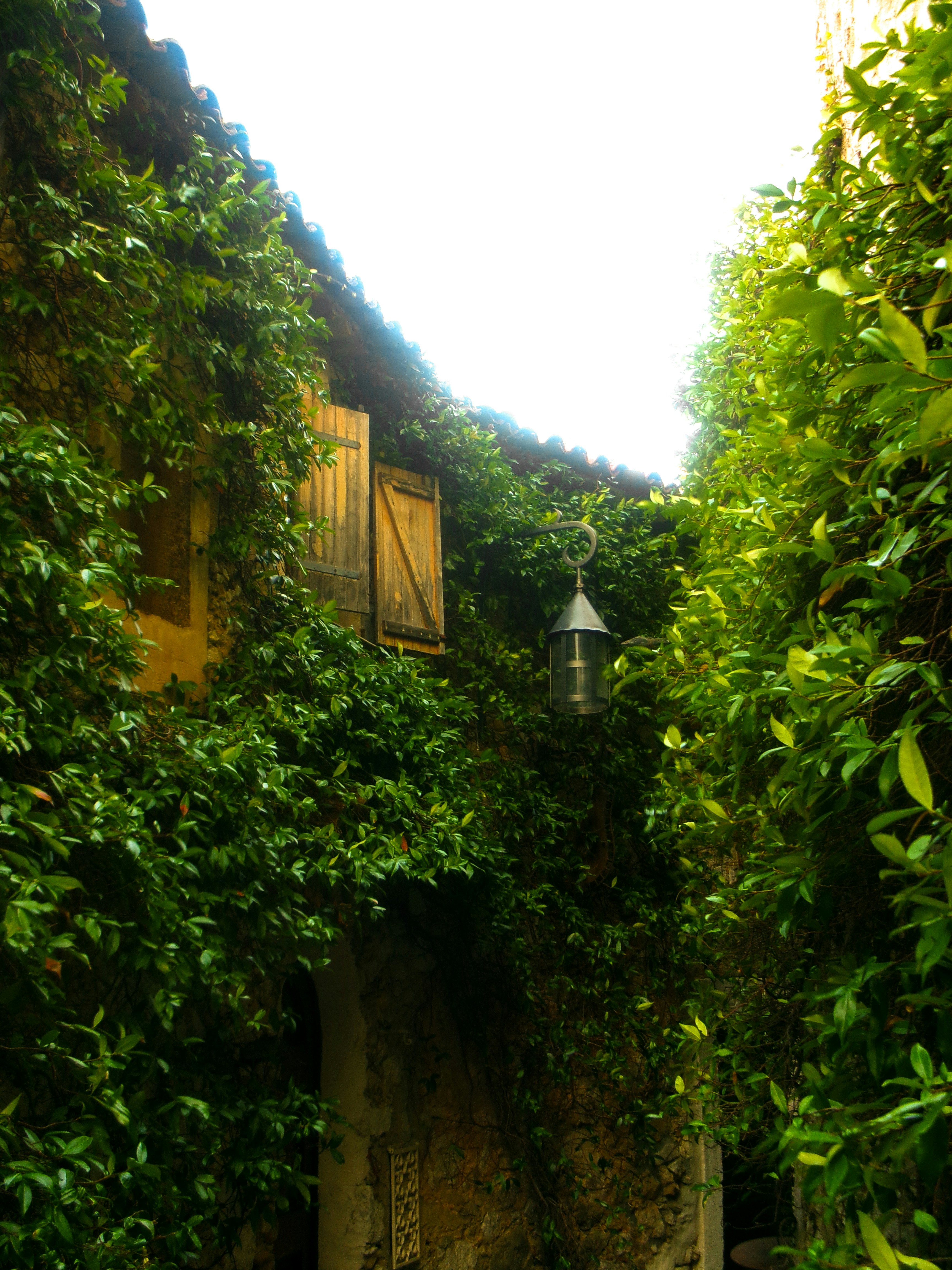 Sunlit alley of ivy-clad walls and hanging lanterns