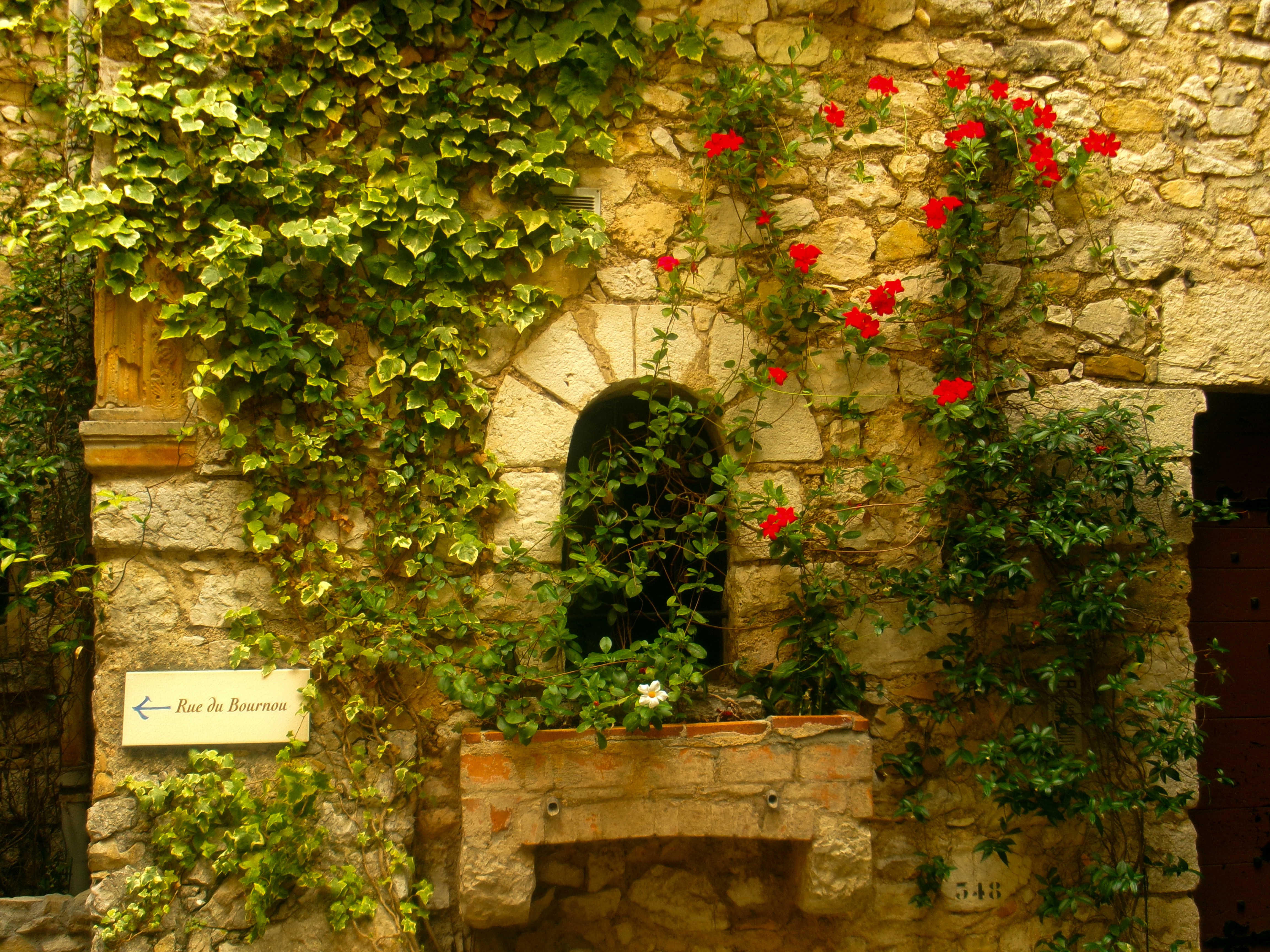 Cottage Archage: Ivy, Roses, and Stone Garden Window