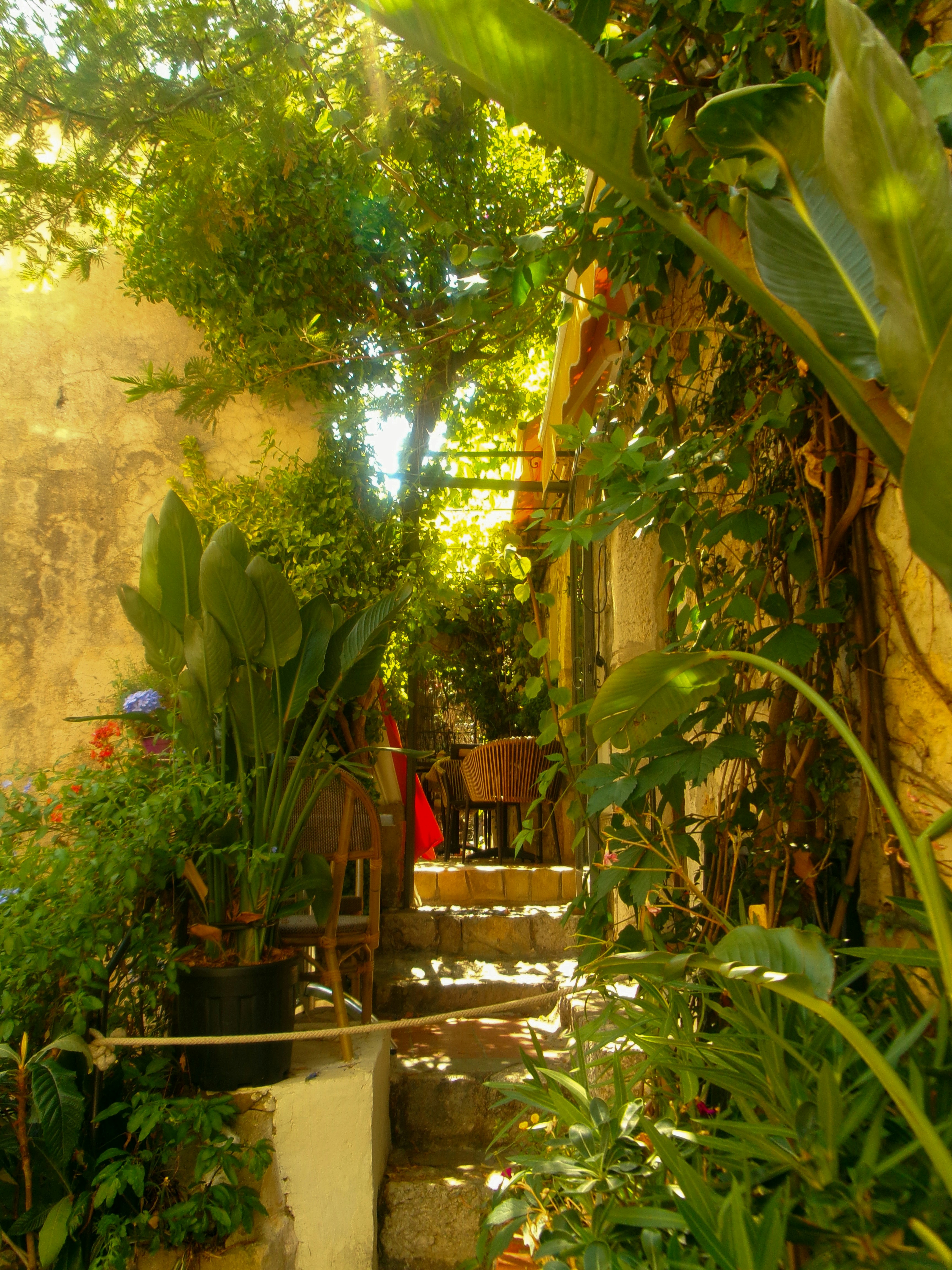 Sunlit Terrace Garden Corridor Framed by Foliage