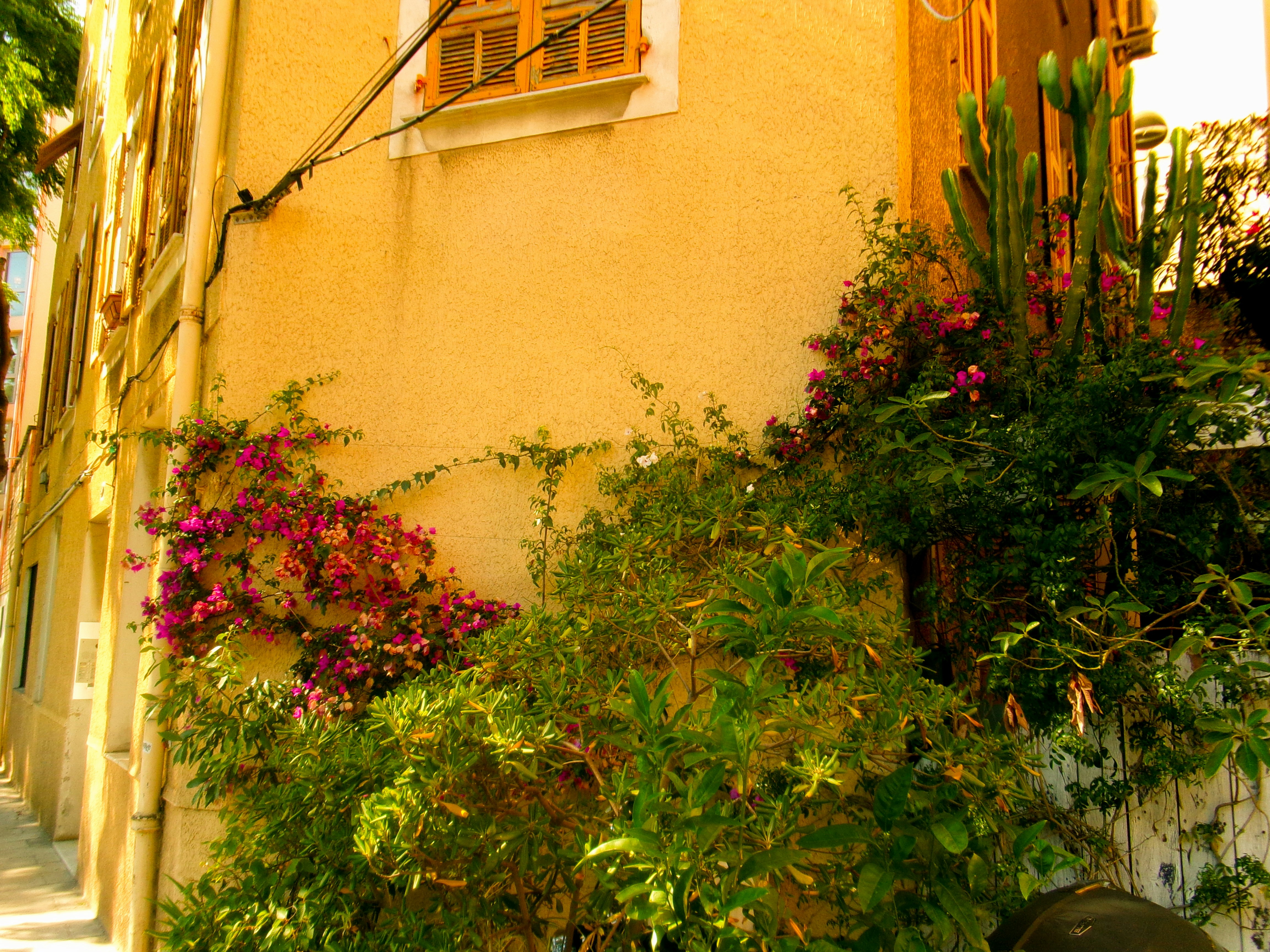 Sunlit Mediterranean Façade Framed by Bougainvillea
