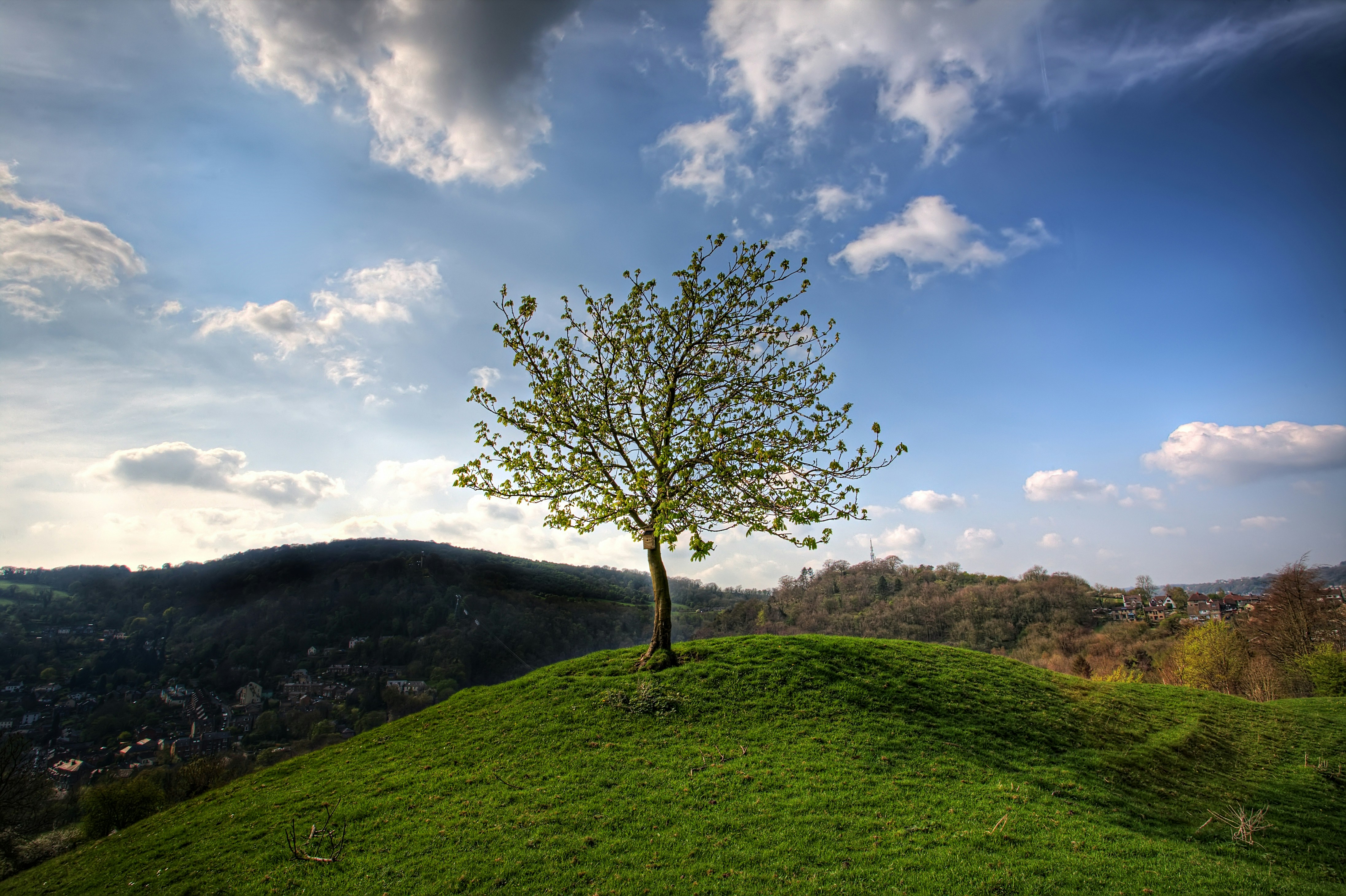 A solitary tree stands on a gentle hill with a panoramic sky above; distant hills and a small town are visible in the background. Photograph captures landscape depth and a lone focal subject.