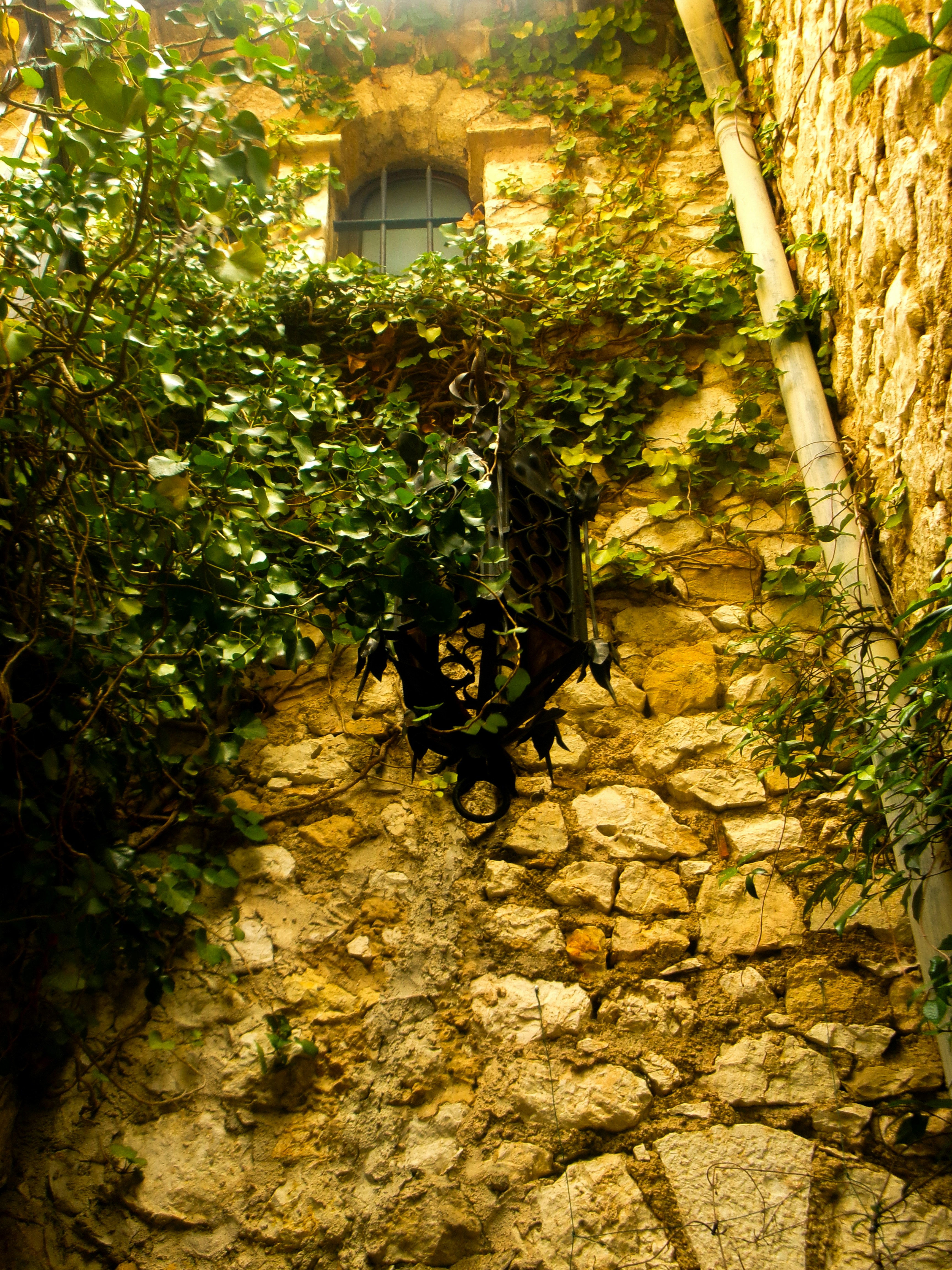 Ivy-clad stone wall with a hanging lantern and arched window