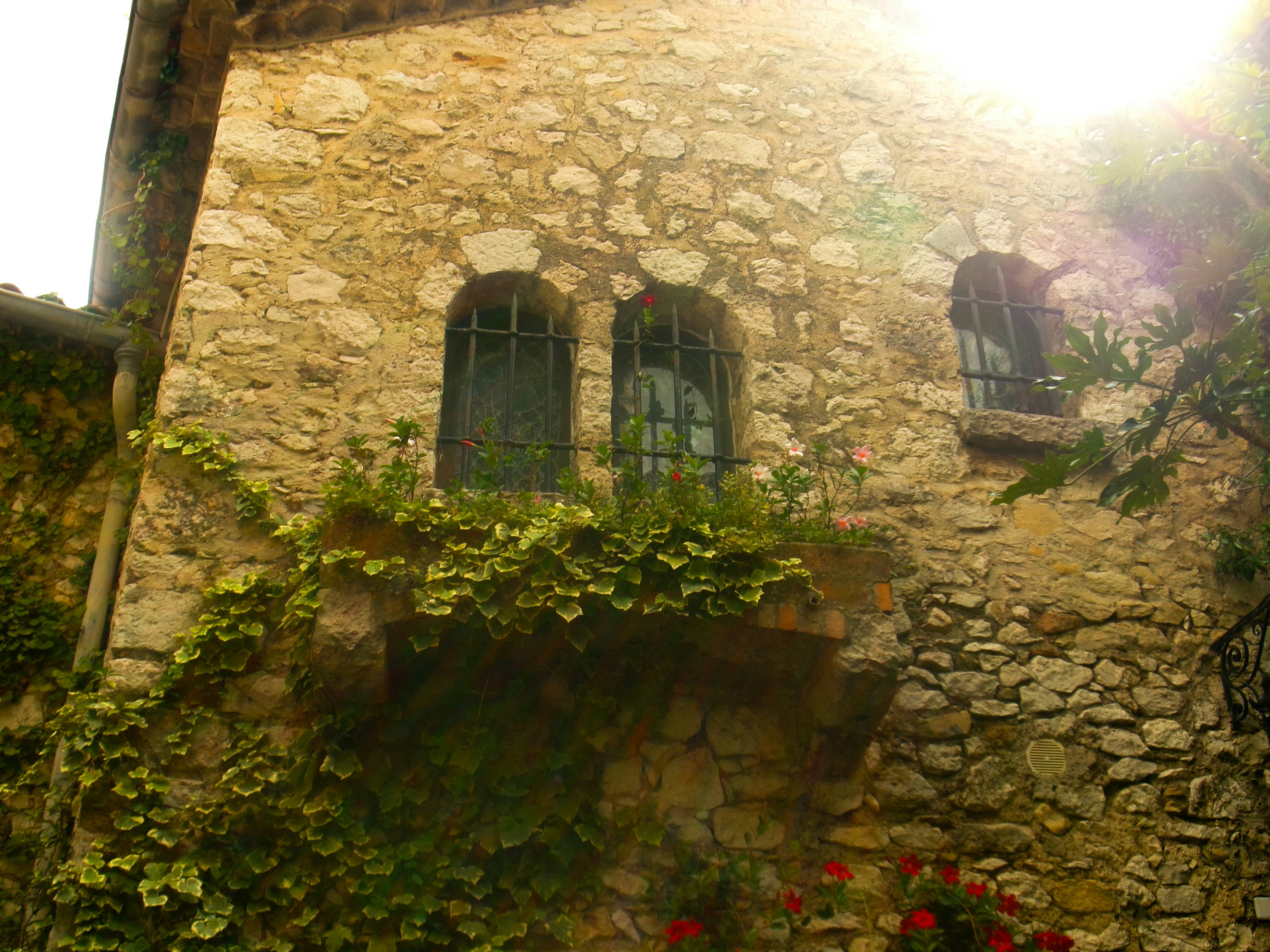 Sunlit stone cottage with ivy and flowering balcony