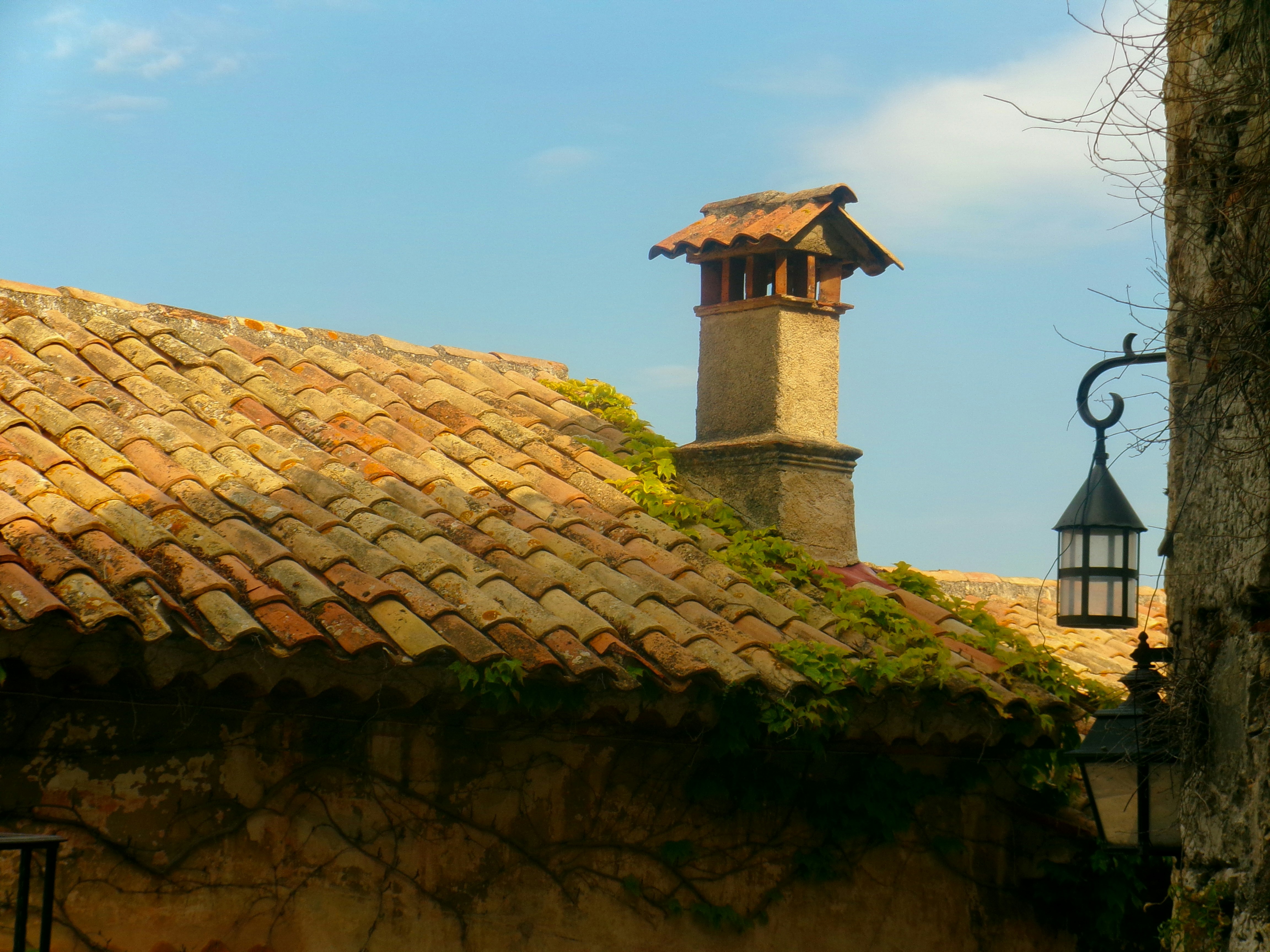 Chimney Sentinel Above the Rustic Tile