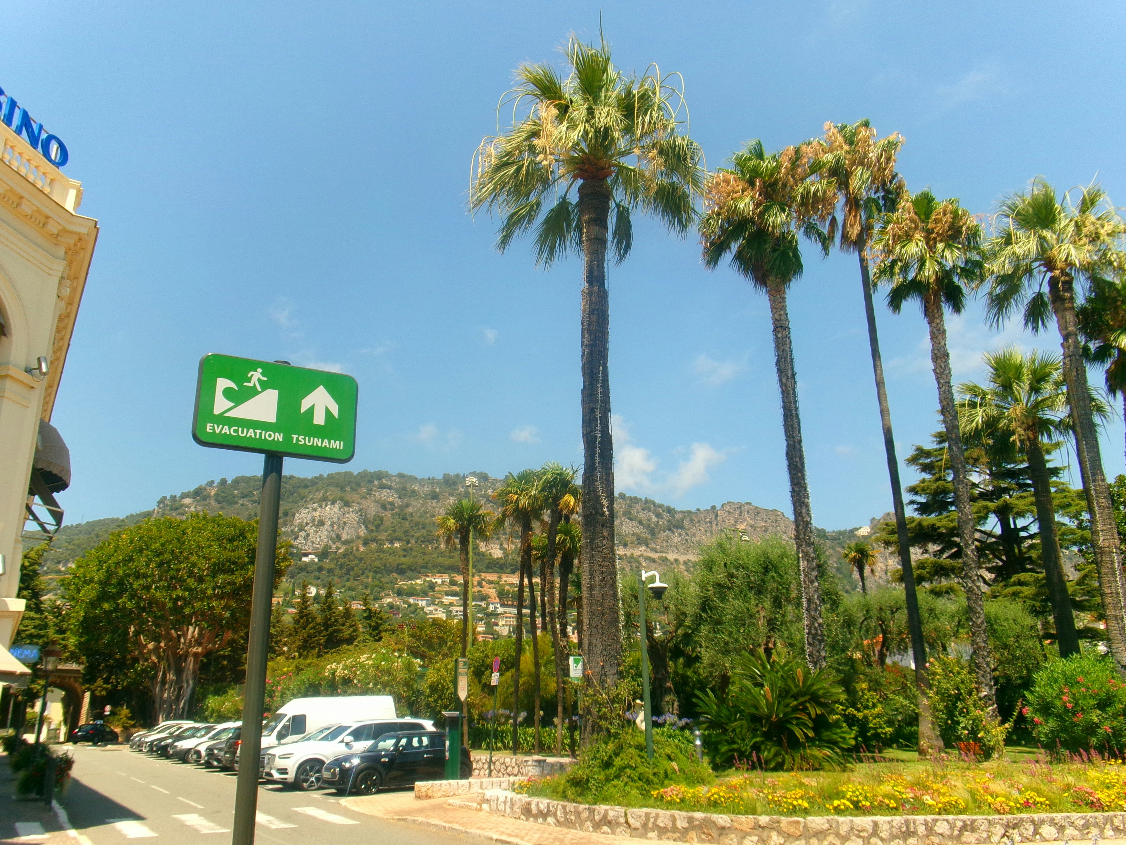 Sunlit Palm Avenue: A Coastal Town’s Calm Streets