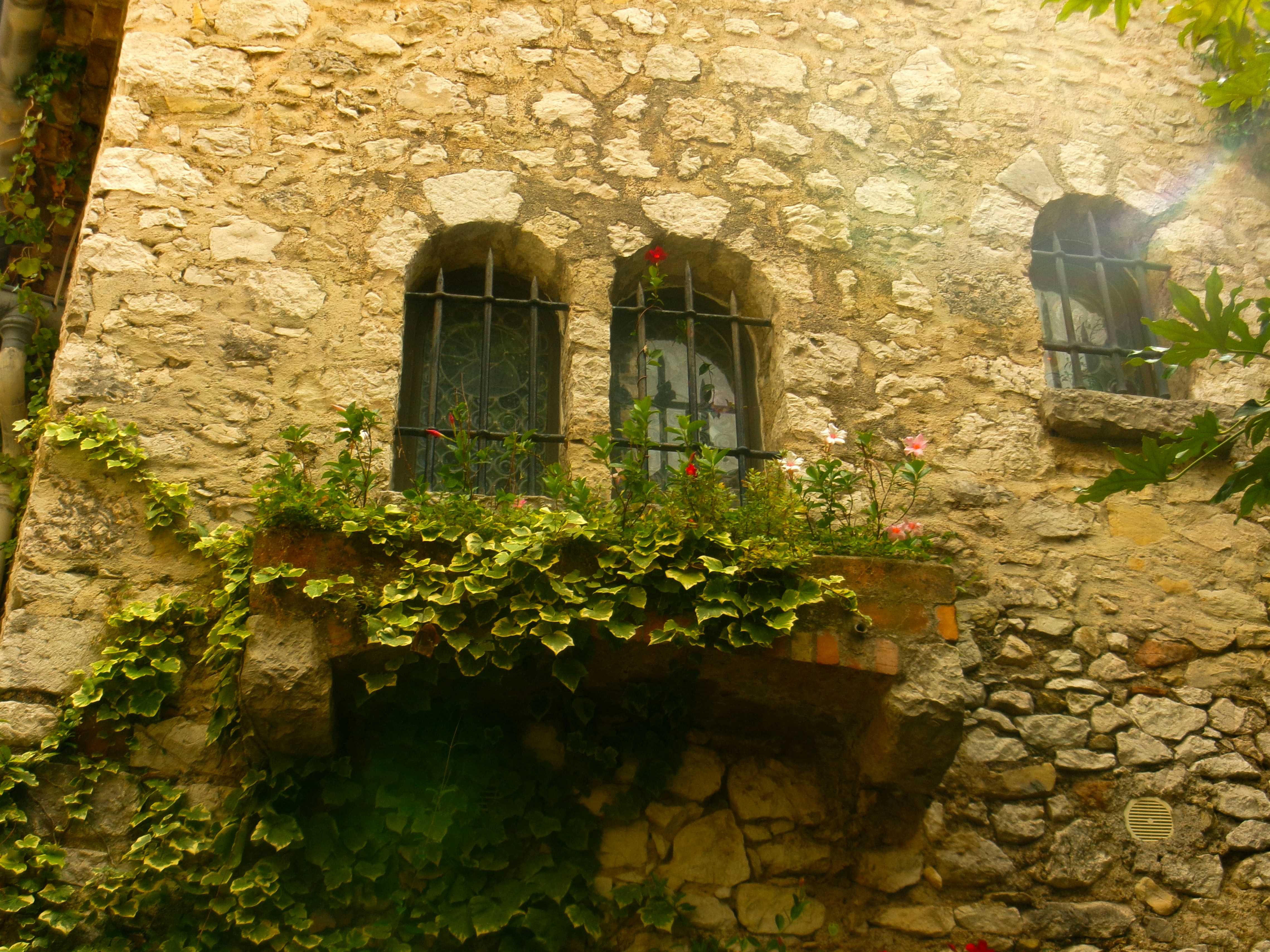 Overgrown Balcony on a Weathered Stone Facade