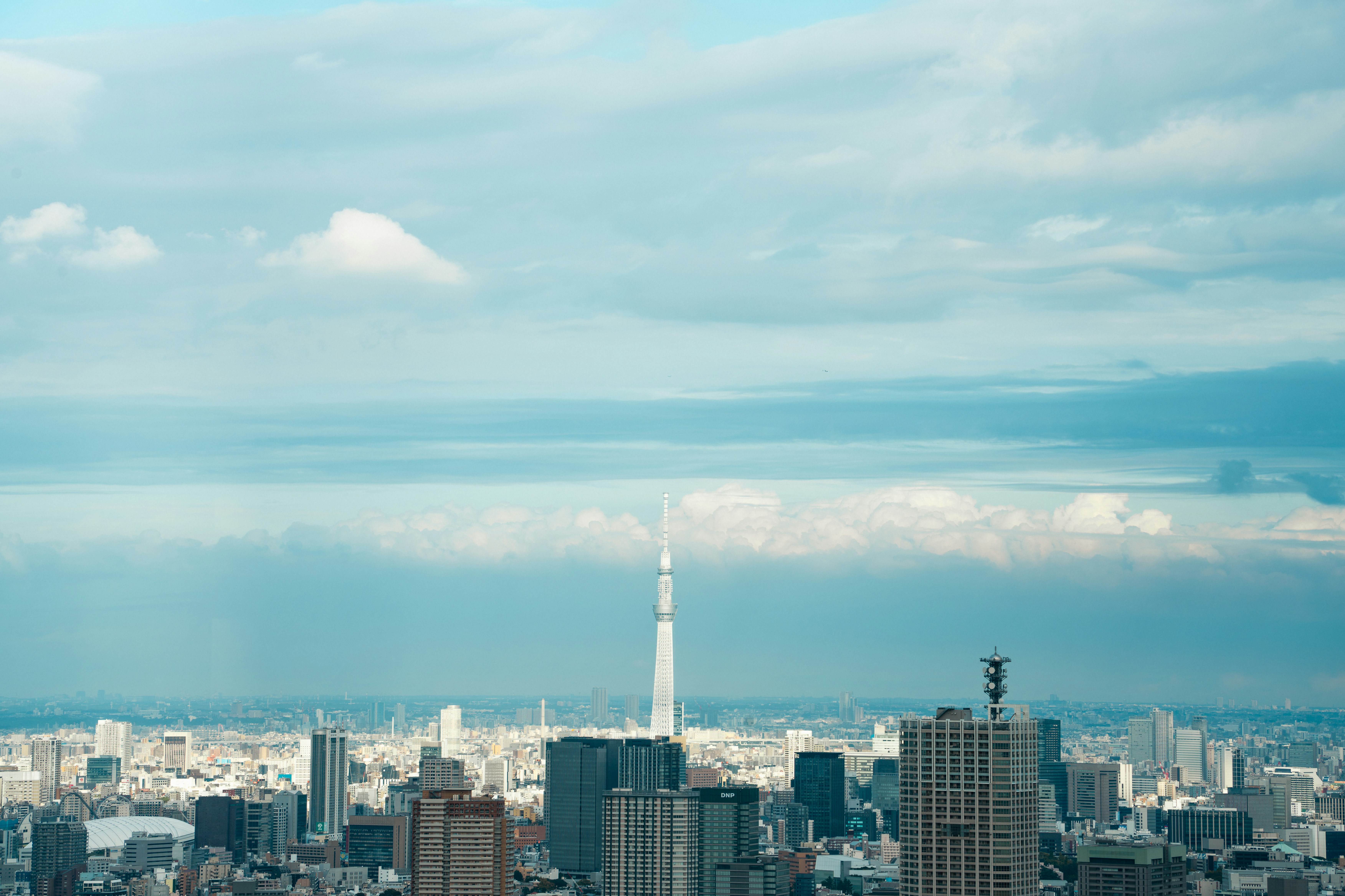 Skyline Needle: Tokyo Skytree Rising Above a Quiet Morning