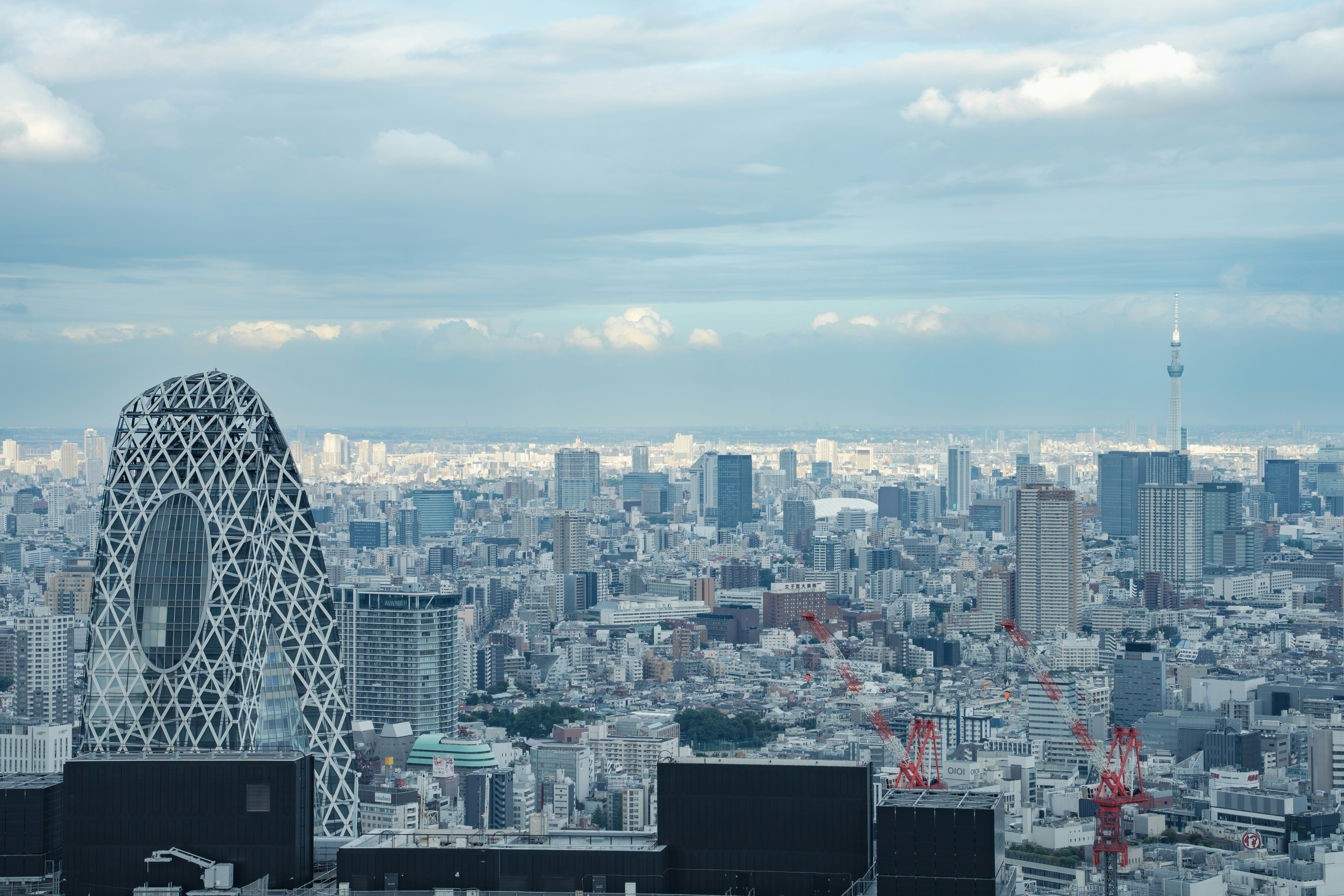 Aerial Silhouette: Tokyo Skyline and Iconic Gherkin-like Structure