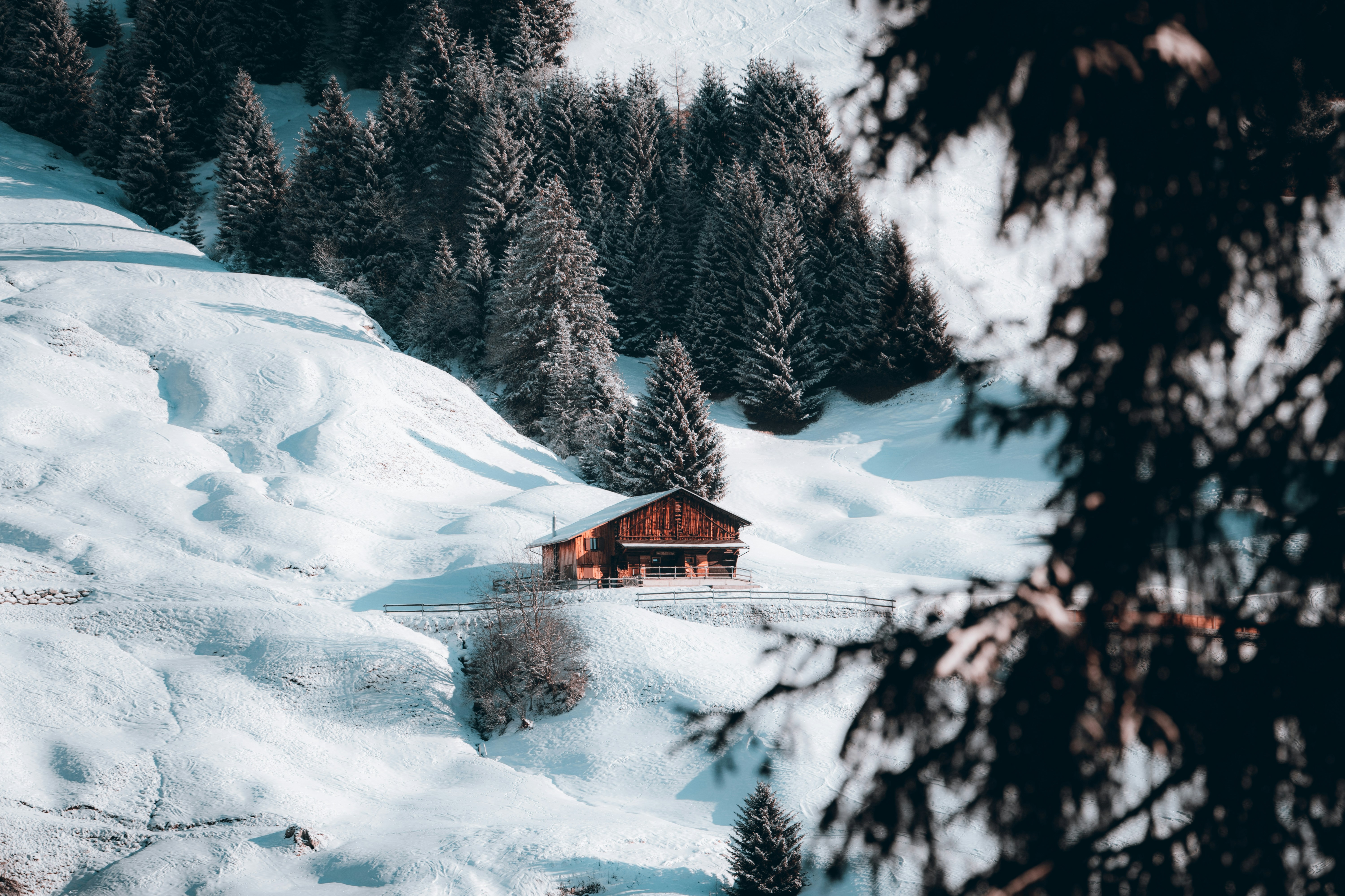 Wooden cabin tucked amid snow-covered slopes and evergreen trees in a serene alpine landscape. A tranquil winter scene highlighting the contrast between warm timber and surrounding frost.