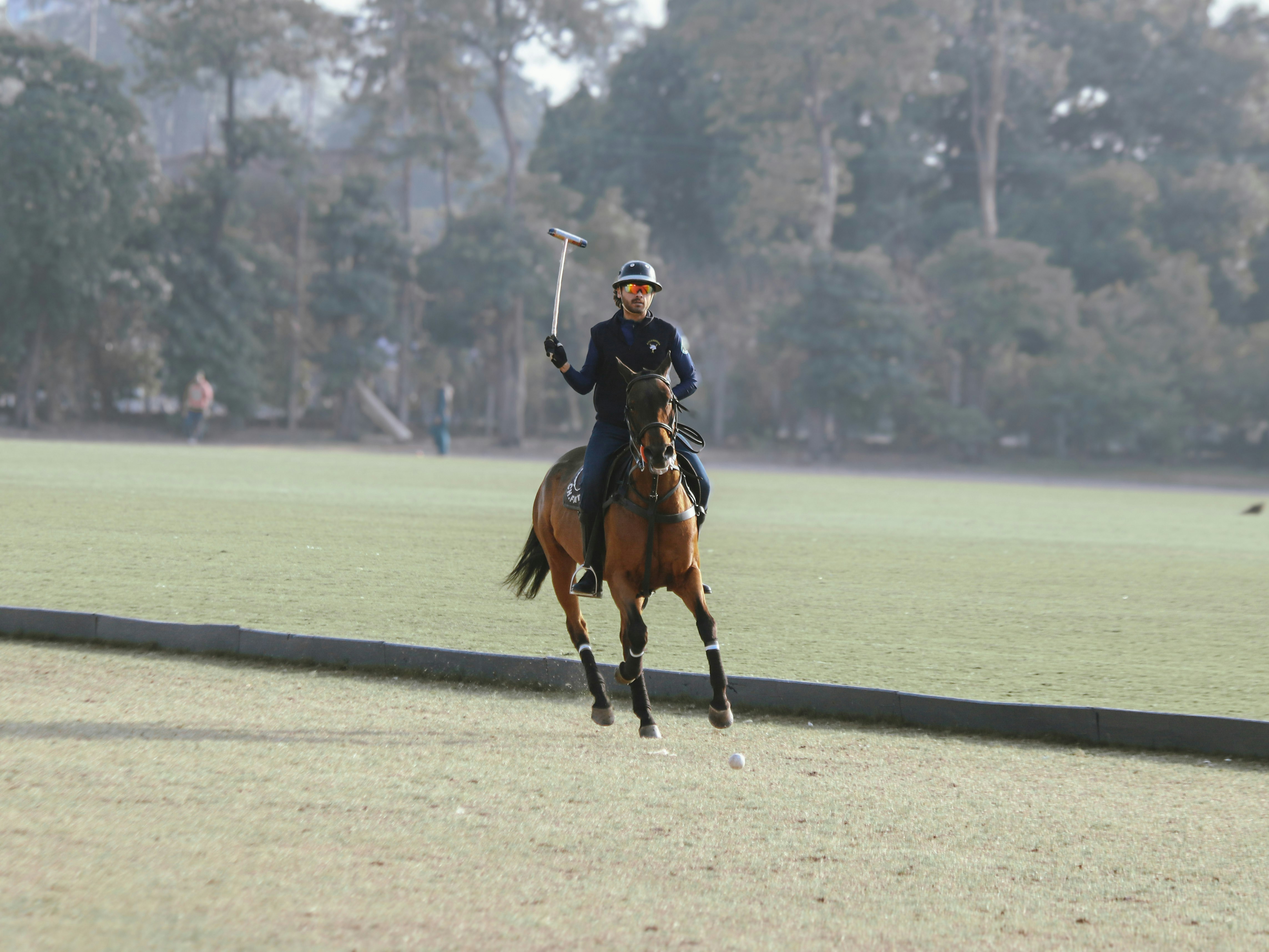 A rider on a galloping horse charges toward the field's far edge with a raised mallet, set against a green, expansive backdrop and a low barrier line.
