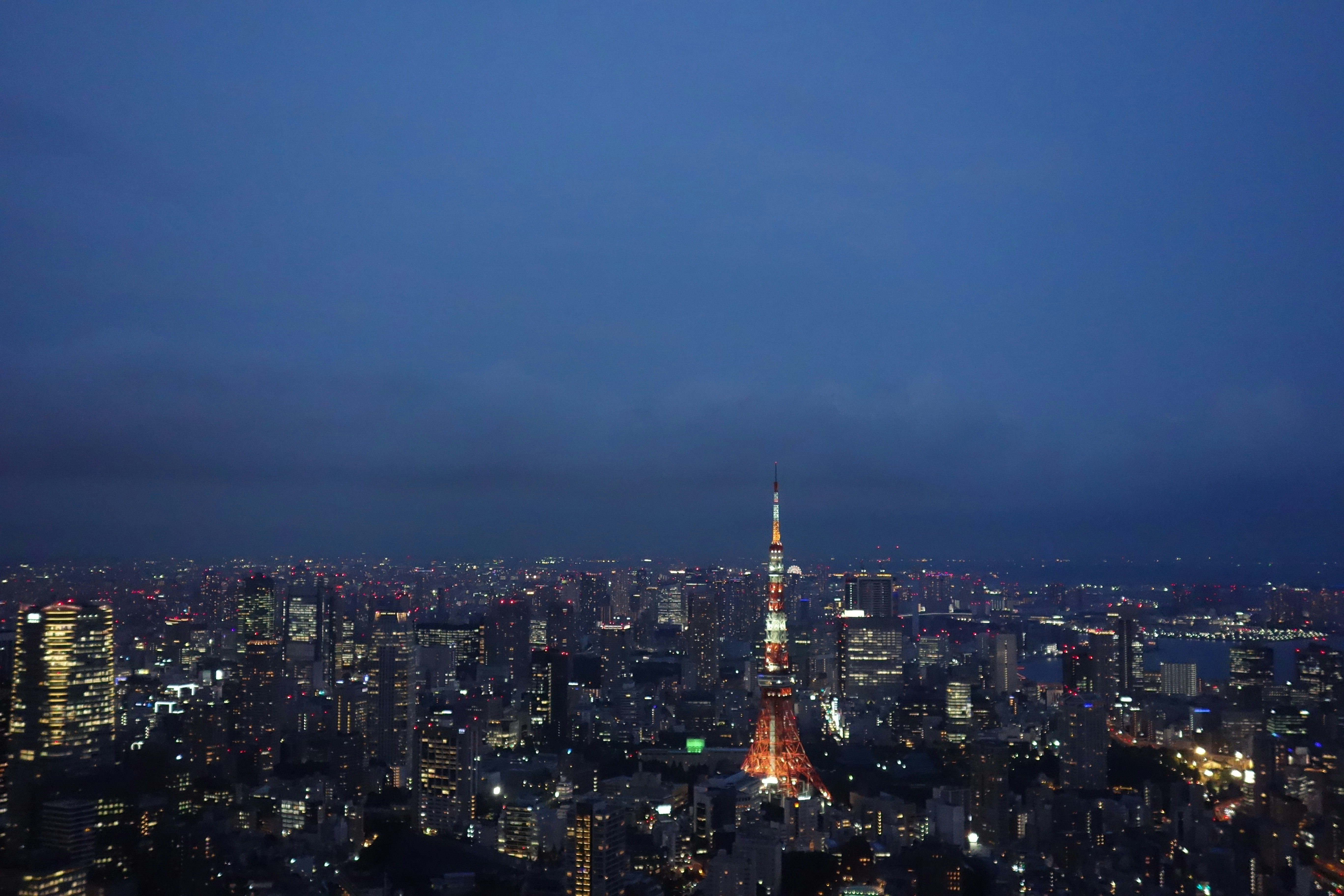 Neon Crown over Tokyo’s Evening Silhouette