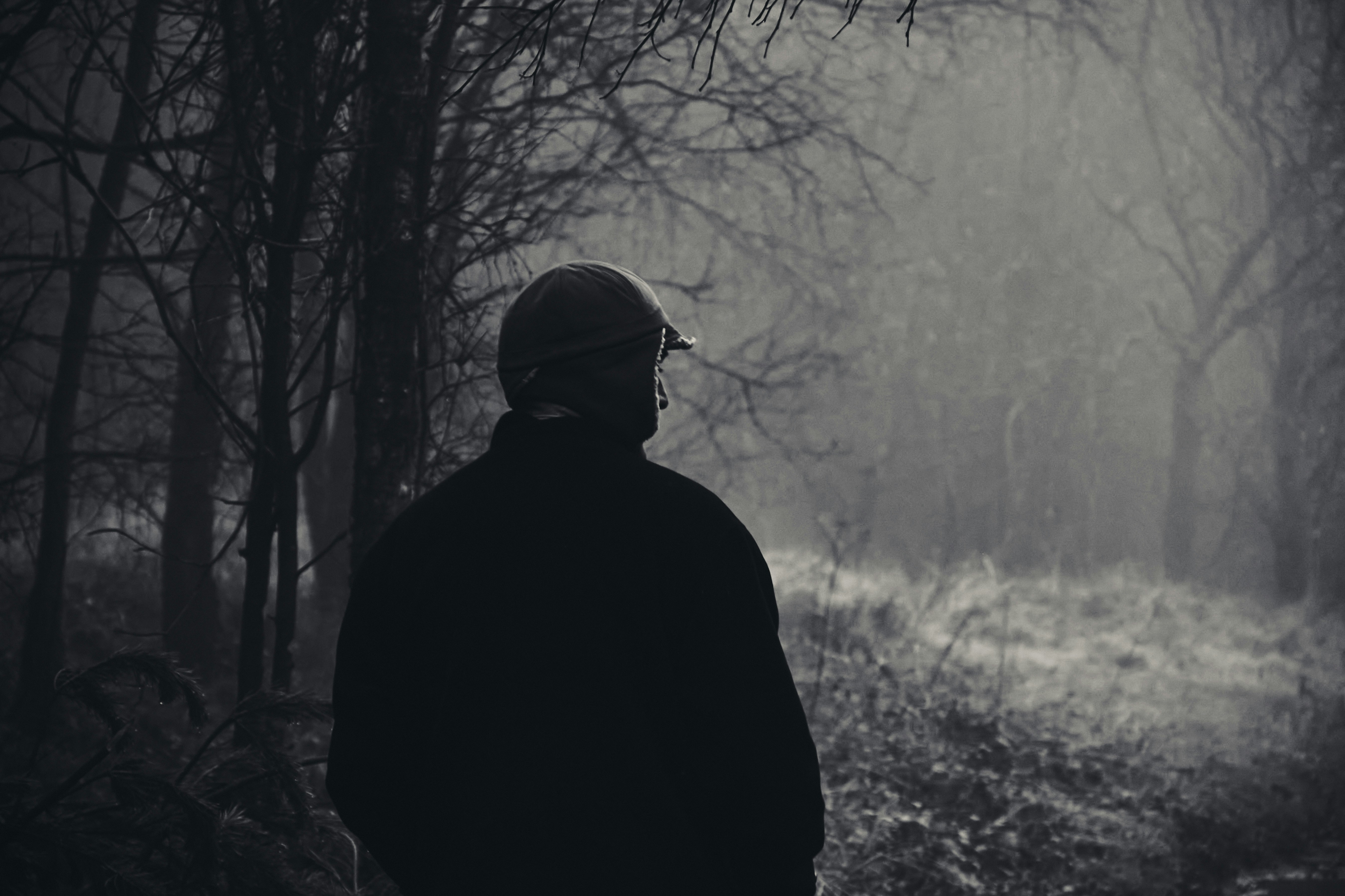 Silhouette in the Fog: A Lone Figure Walks the Dim Forest Path