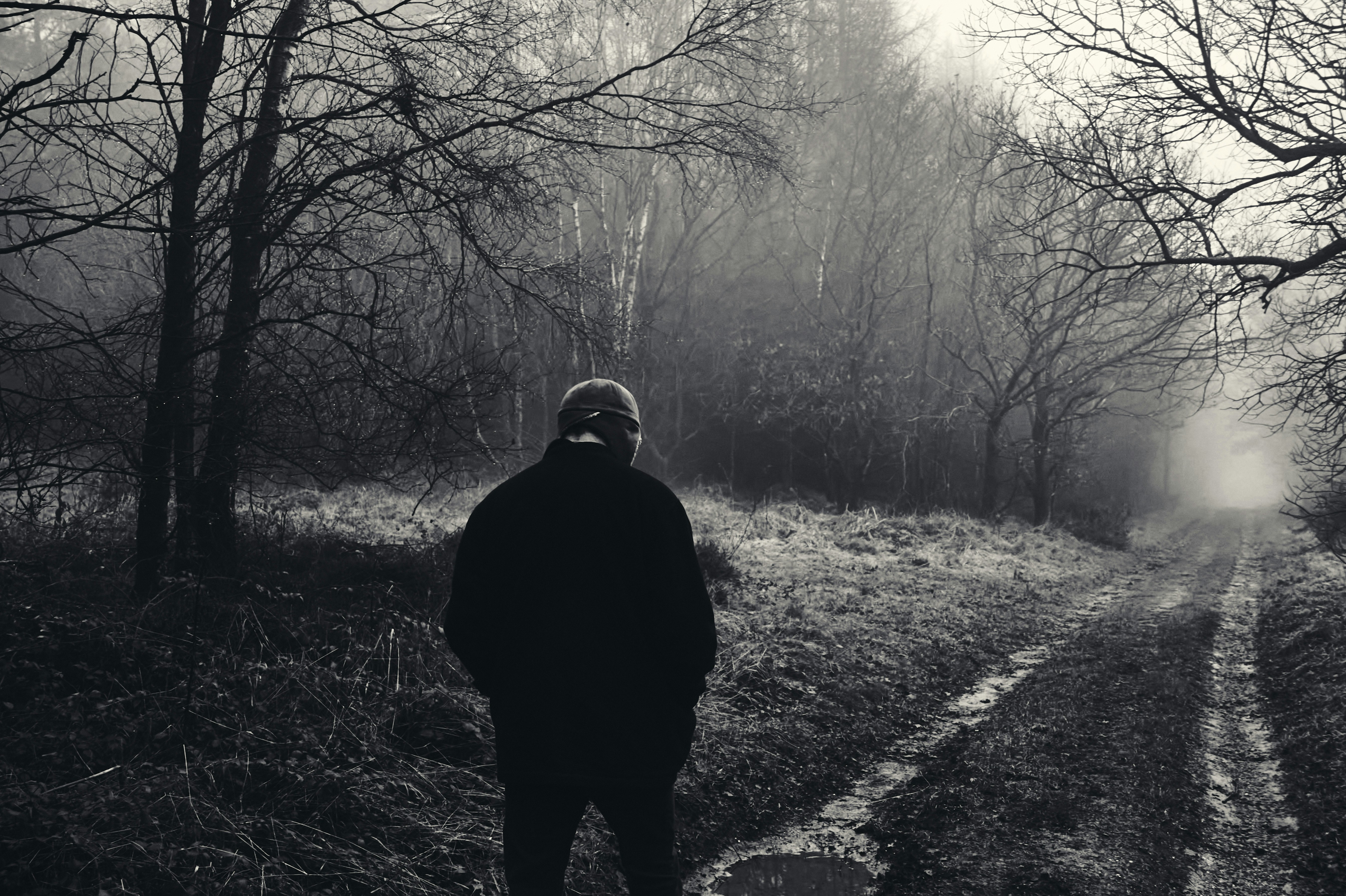  solitary wanderer down a misty, leaf-littered path