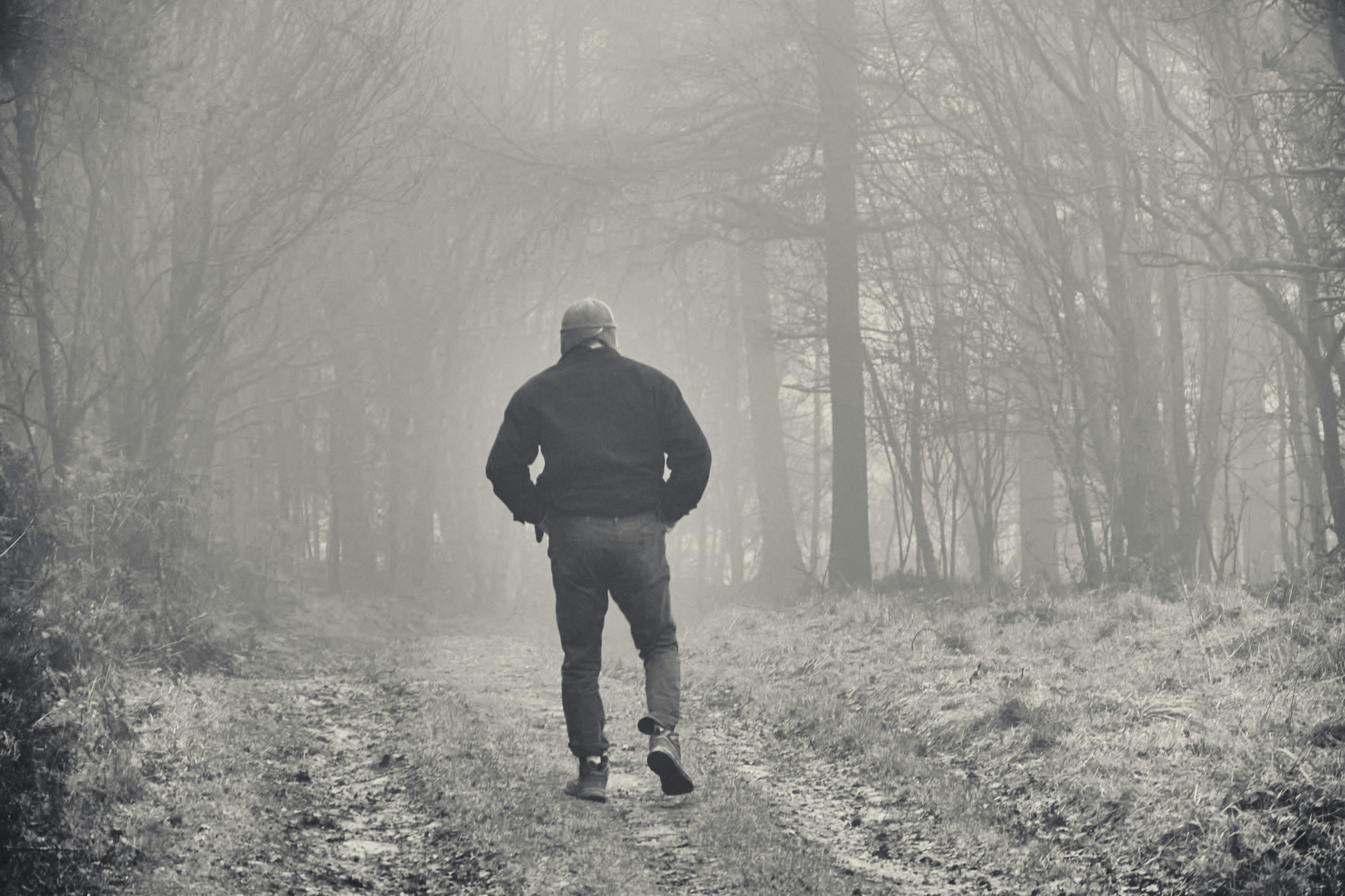 Mist-Worn Path: A lone walker vanishes into the fog
