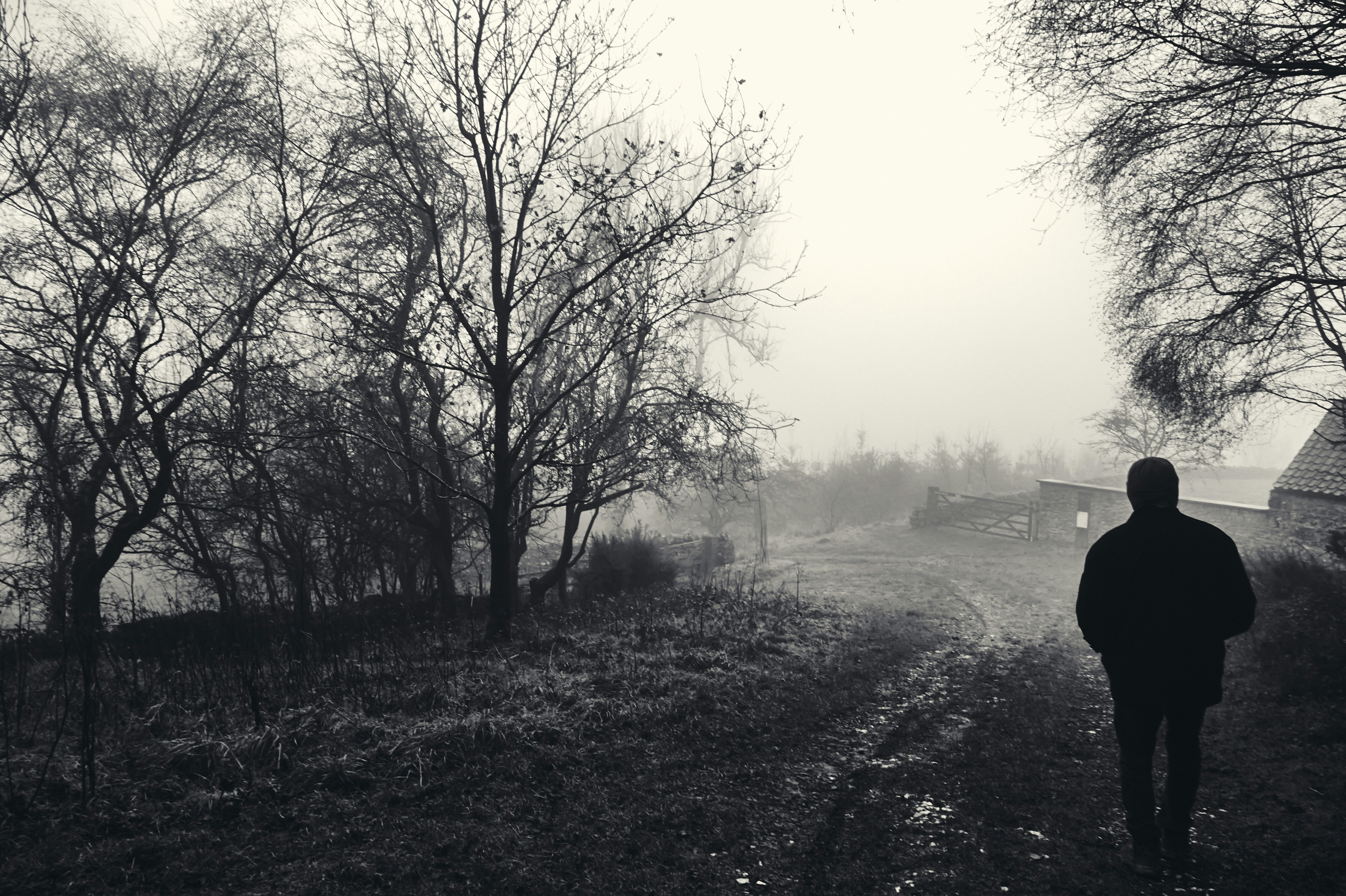 Solitary silhouette on a misty rural path