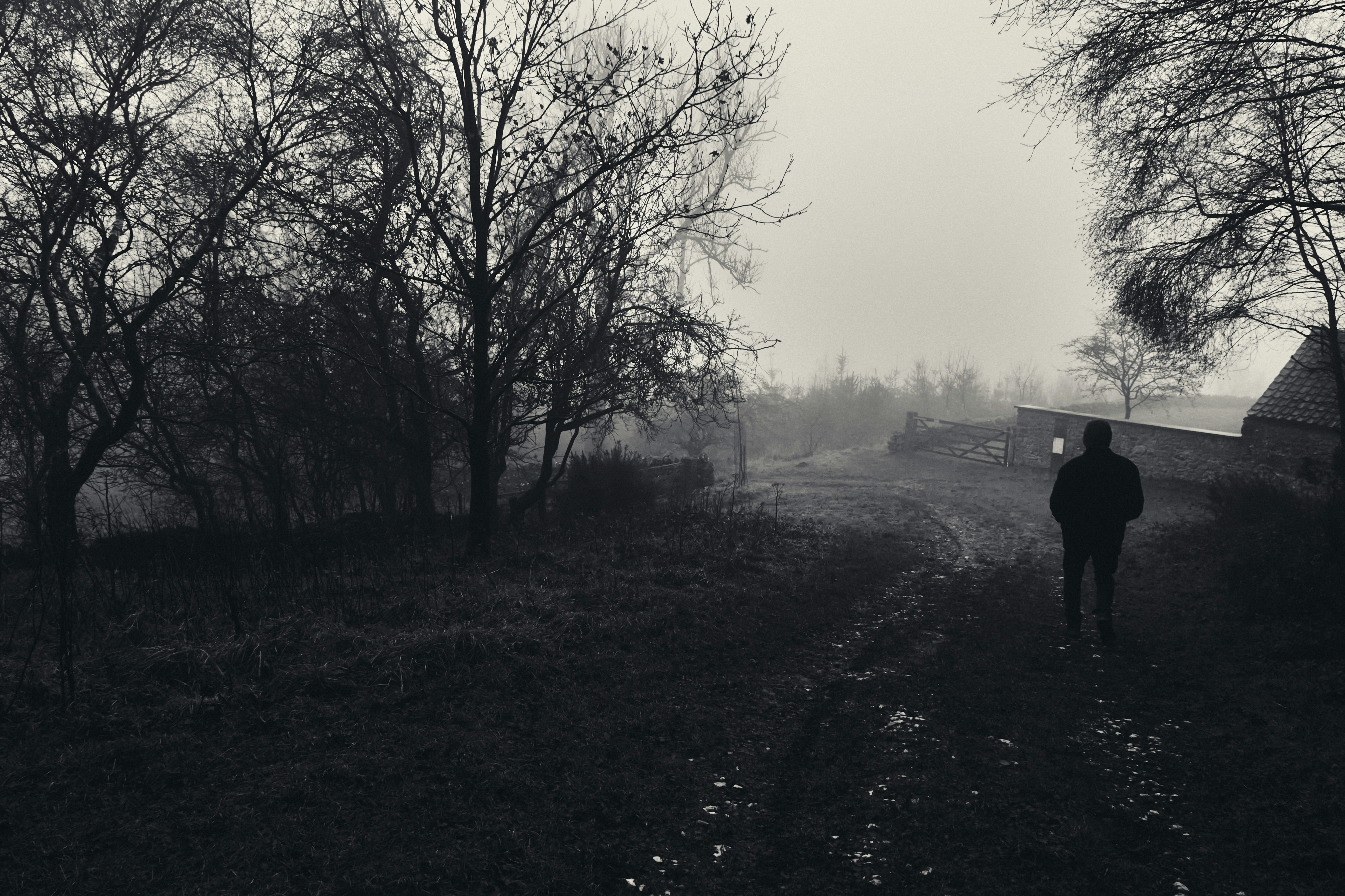 Silhouette on the Fog-Wrapped Path
