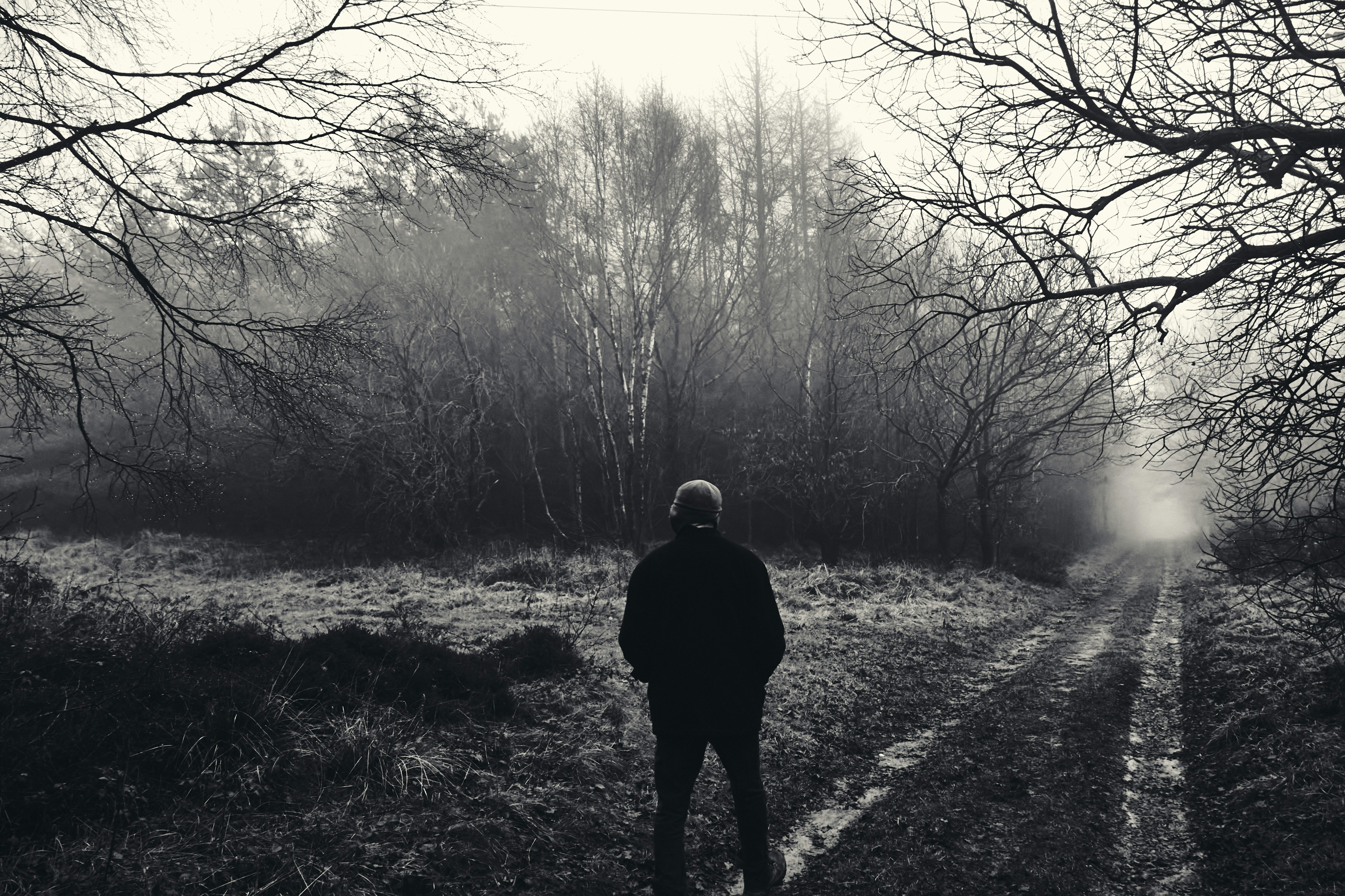 Lonely Walker on the Silent Trail